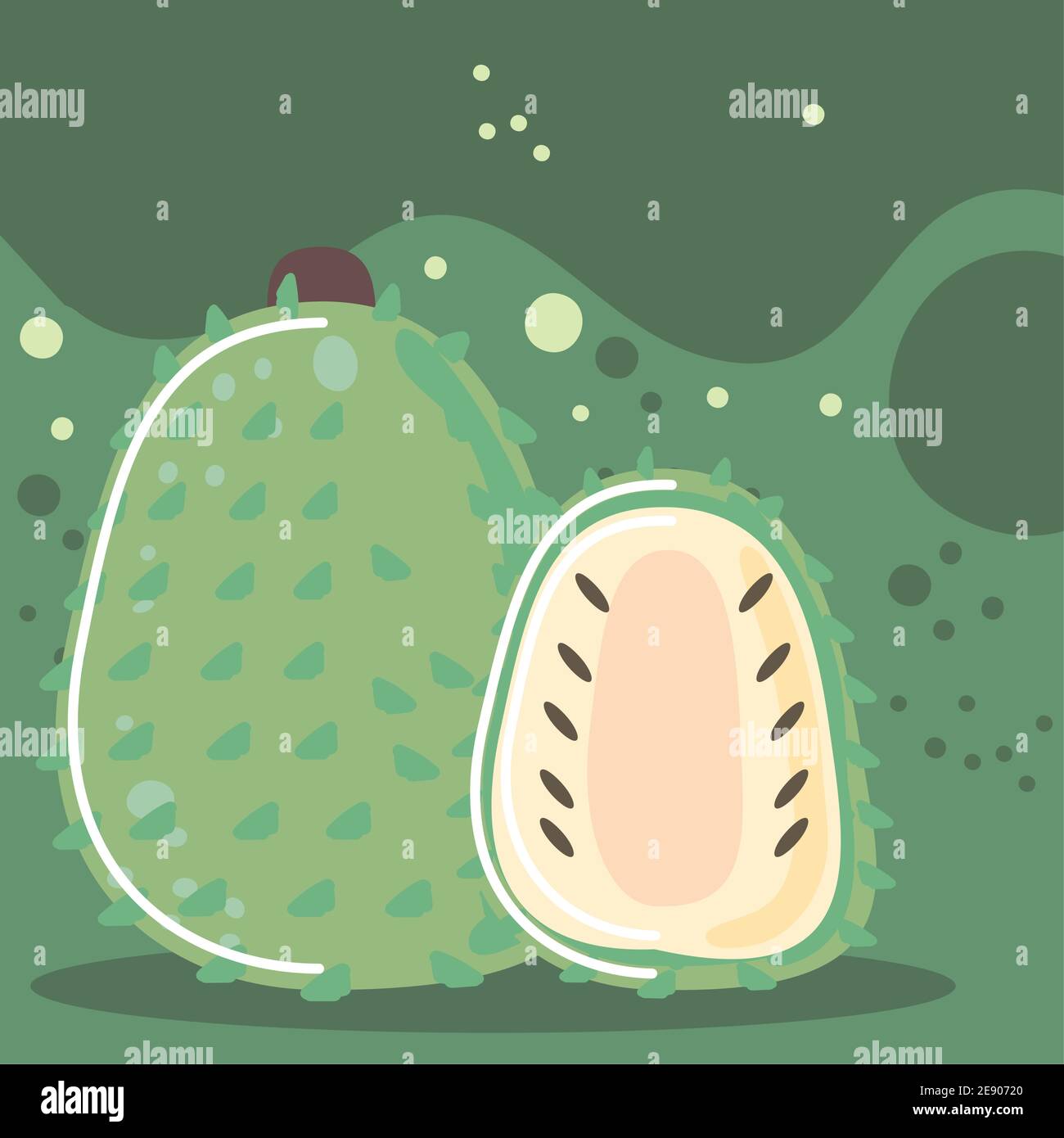 soursop fresh fruit organic healthy food vector illustration Stock ...