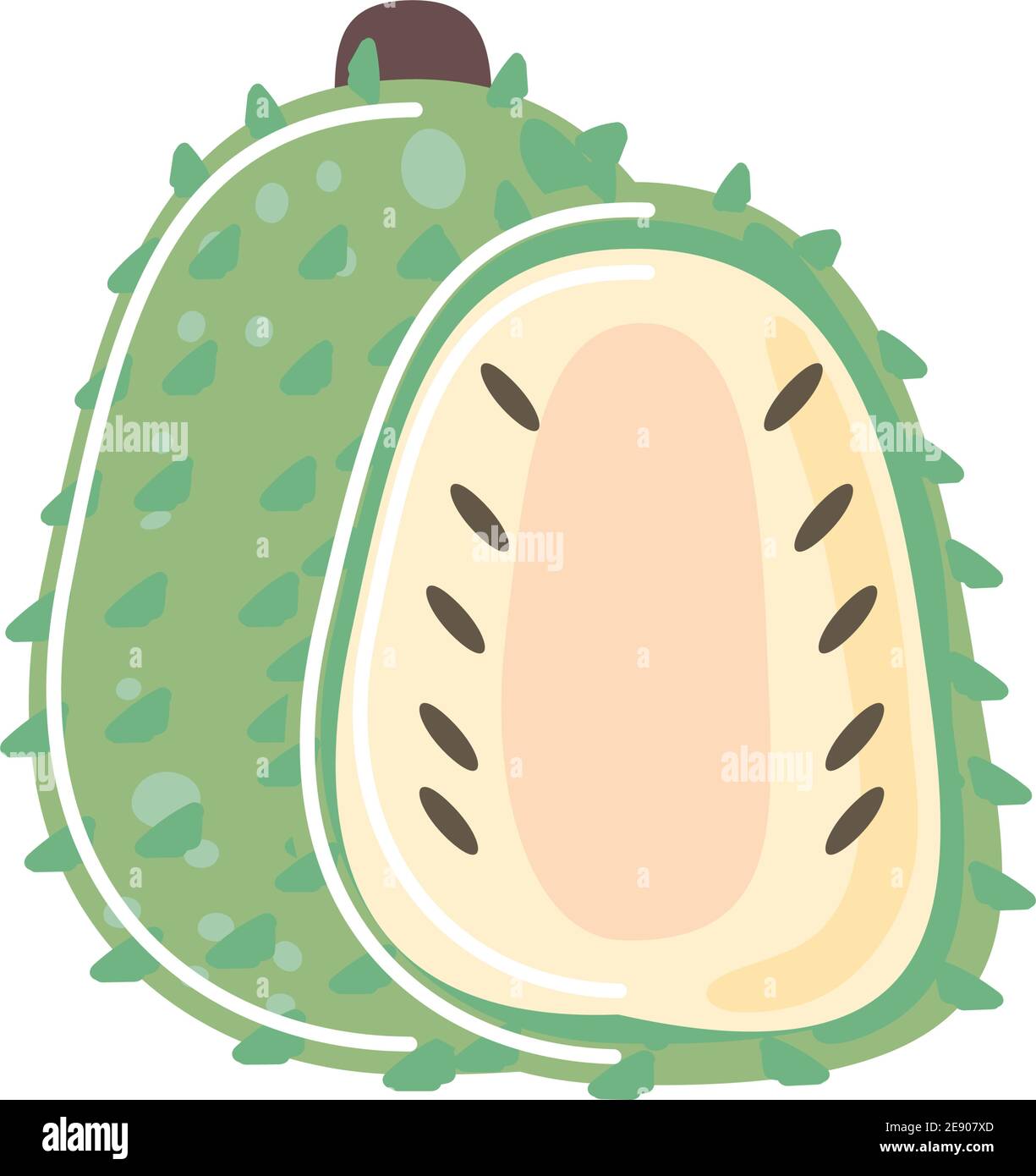 soursop fresh fruit icon isolated style vector illustration Stock ...
