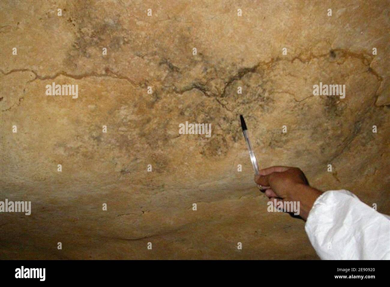 Lascaux Cave Fungus