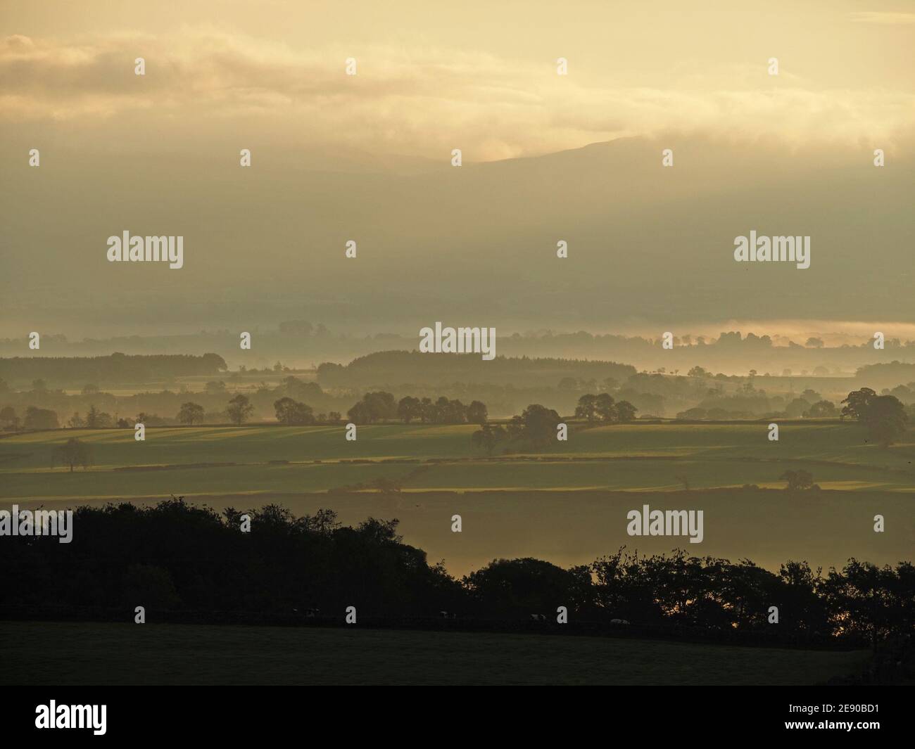 atmospheric dawn landscape with gold sunlight backlighting mist on ...