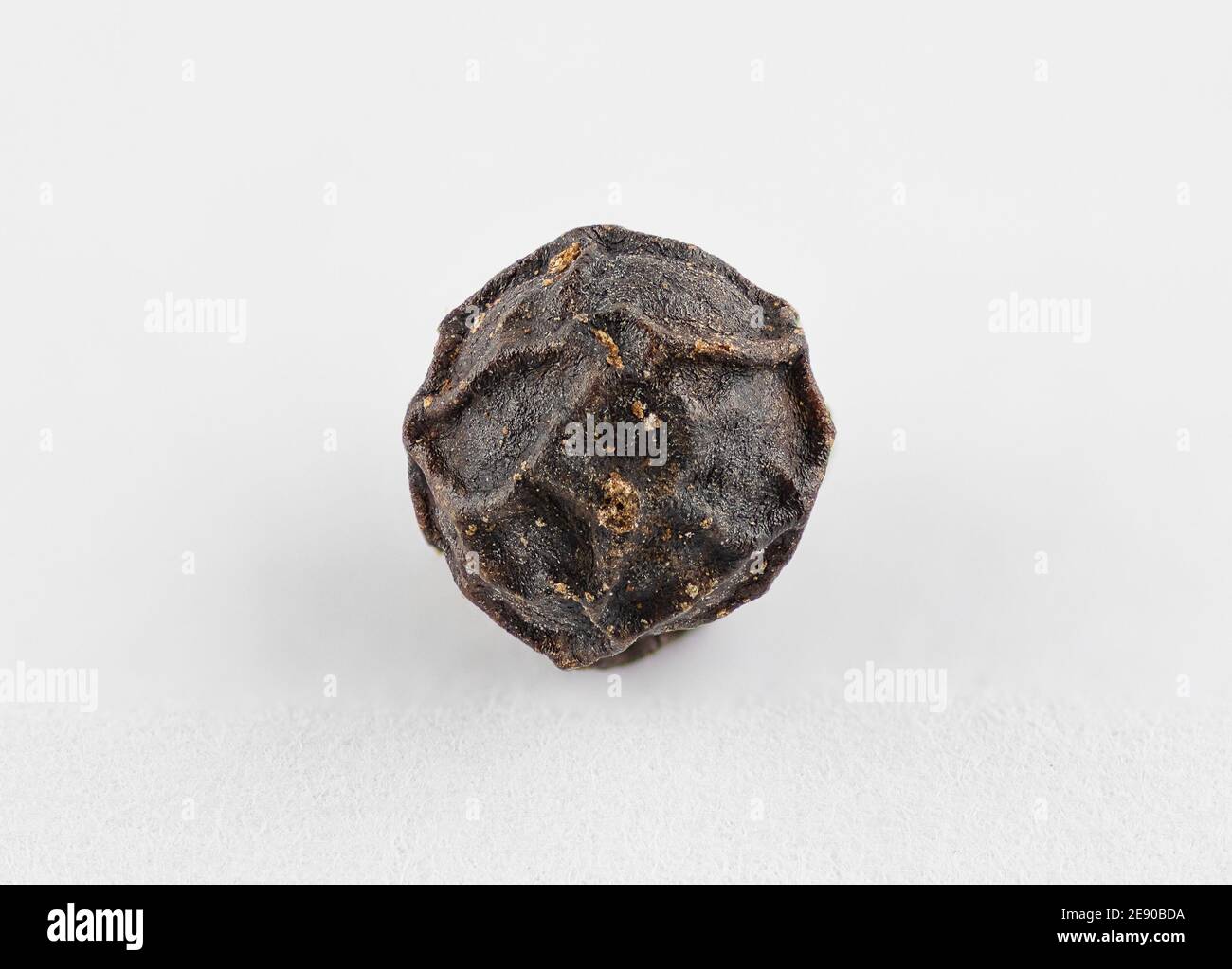 Single black Pepper Corn Macro image on a white background Stock Photo ...