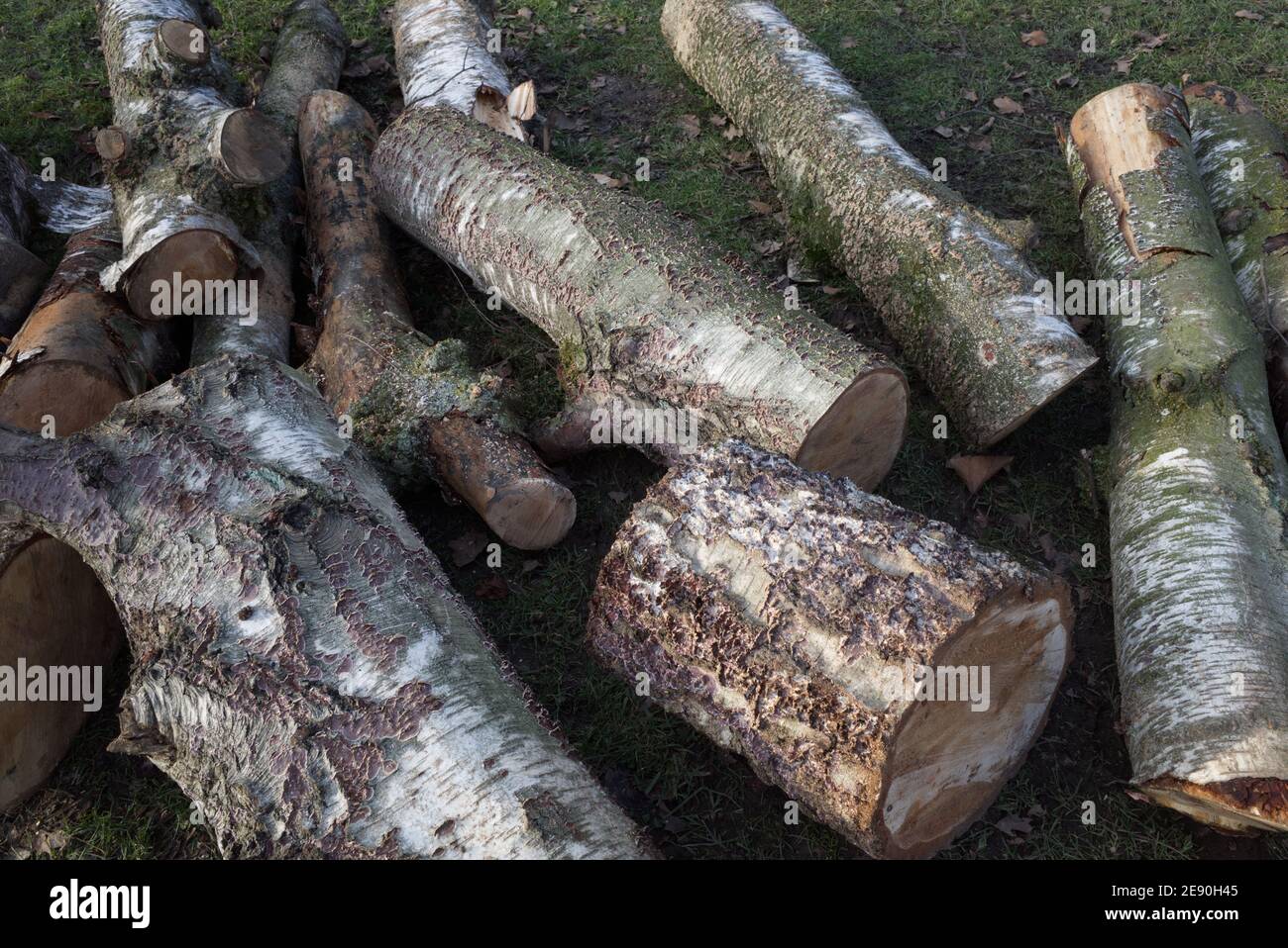 Top view of stack, pile and heap split hard firewood on a grass Stock ...