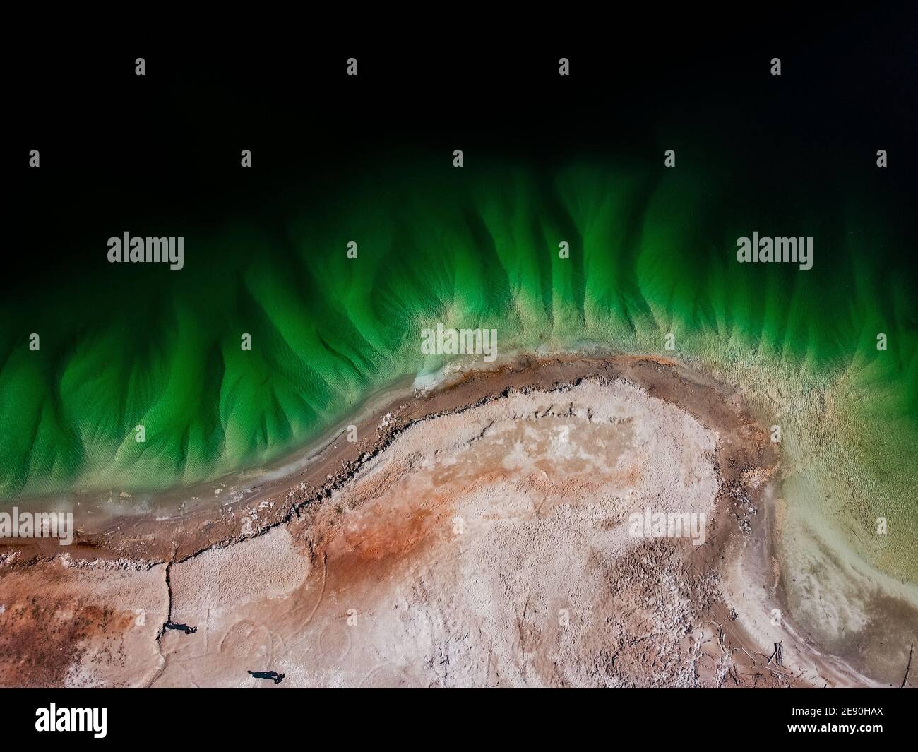 Green polluted lake top view Stock Photo - Alamy