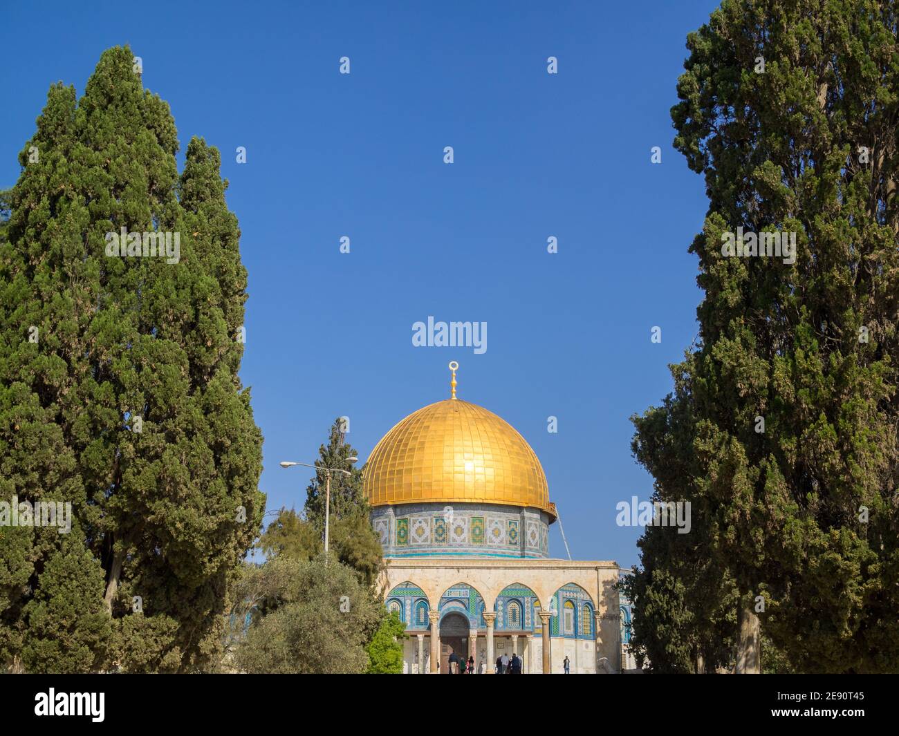Dome of the Rock seen between the cypress trees Stock Photo - Alamy