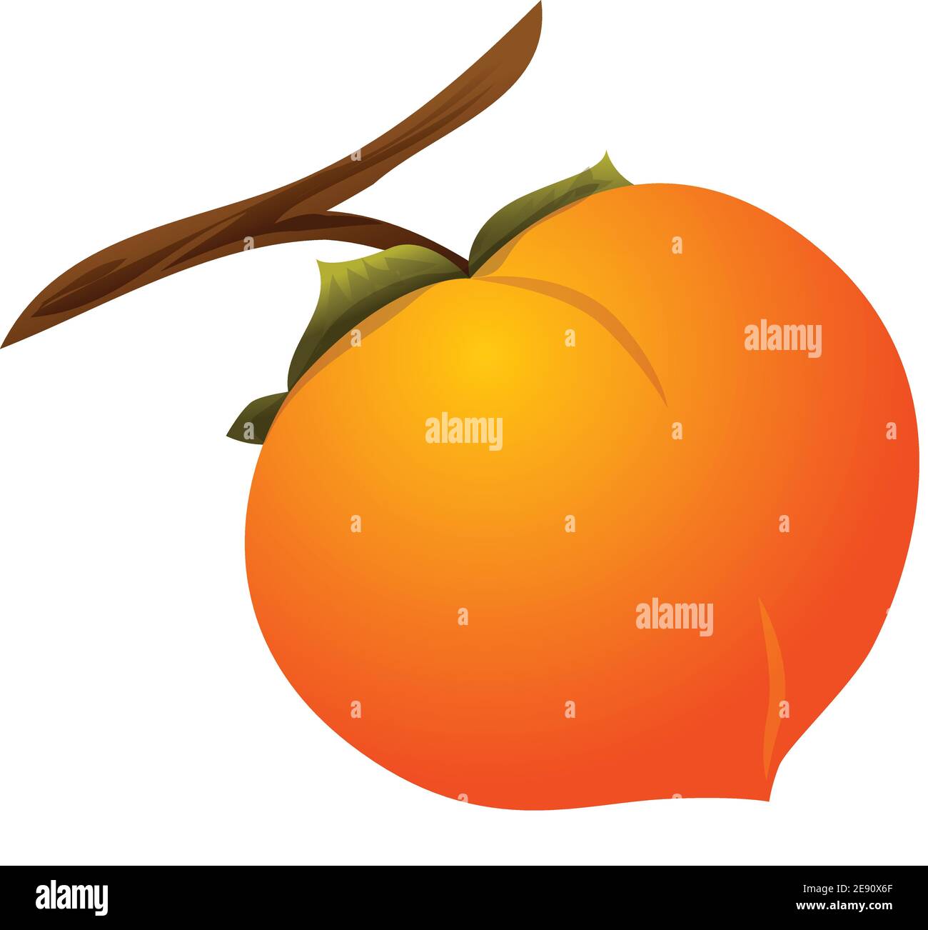 Persimmon tree branch icon, cartoon style Stock Vector Image & Art - Alamy