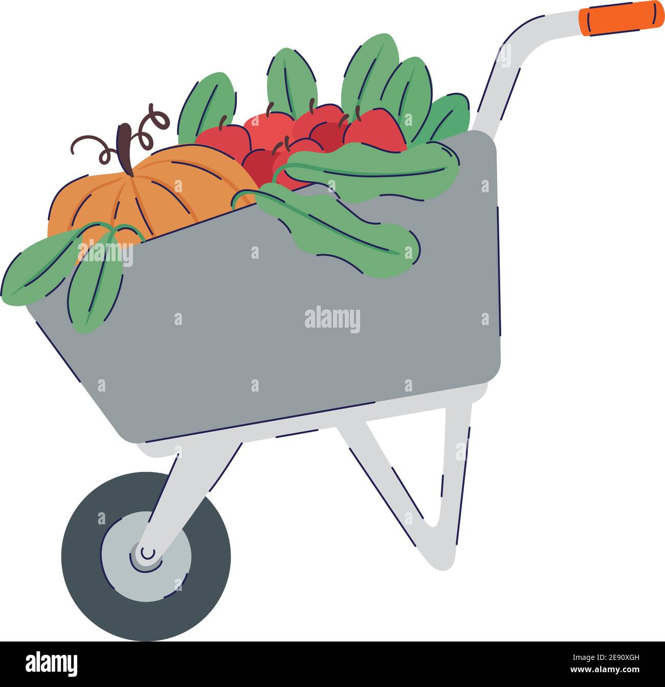 wheelbarrow with fresh vegetables organic product Stock Vector Image ...