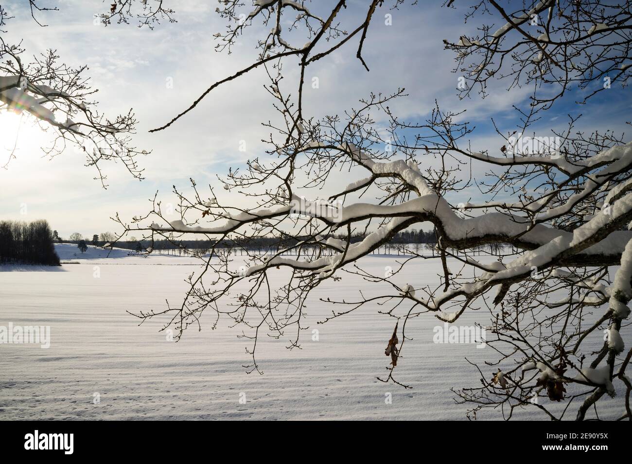 Beautiful winter day in Swedish forest. Lovely scandinavian nature and ...