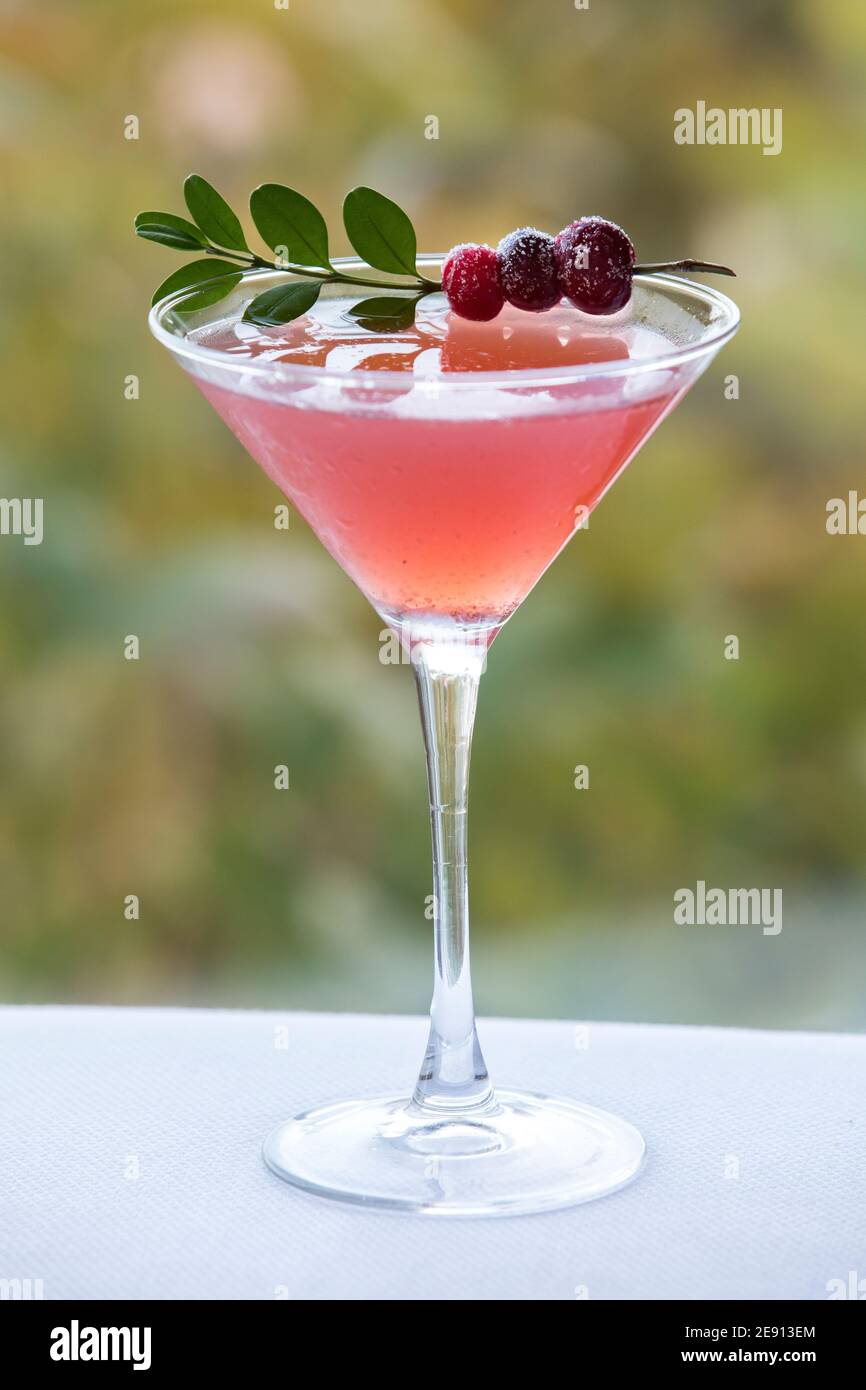 Colorful red fall-inspired cocktail with cranberry garnish Stock Photo ...