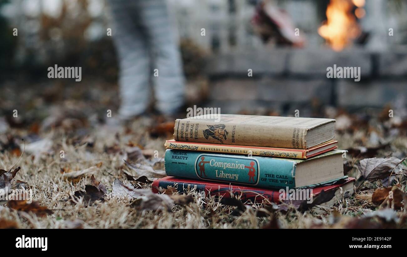 Homeschool Books By The Fire Stock Photo - Alamy