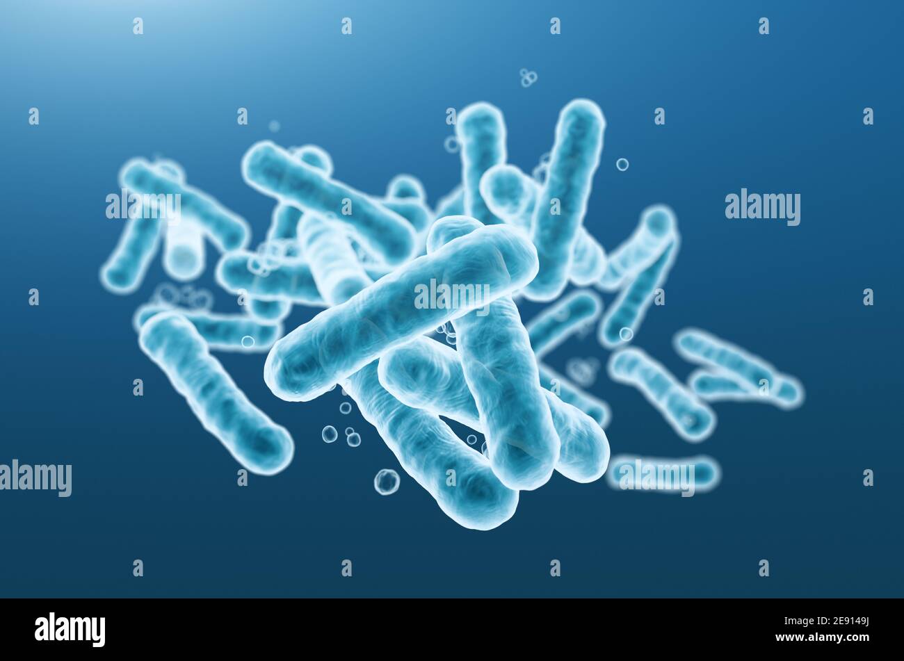 Lactobacillus bacteria microscope hi-res stock photography and images ...