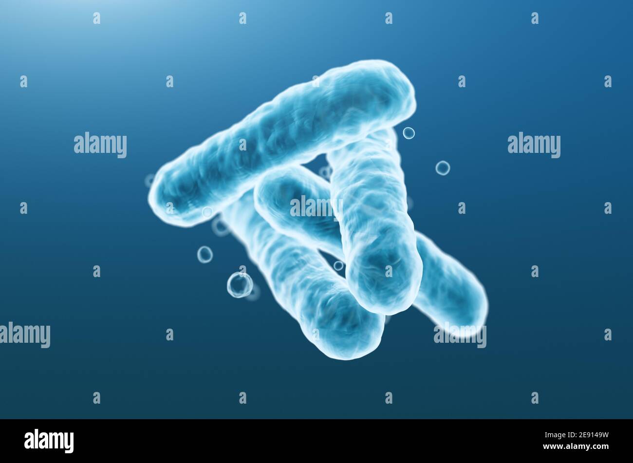 Lactobacillus bacteria microscope hi-res stock photography and images ...