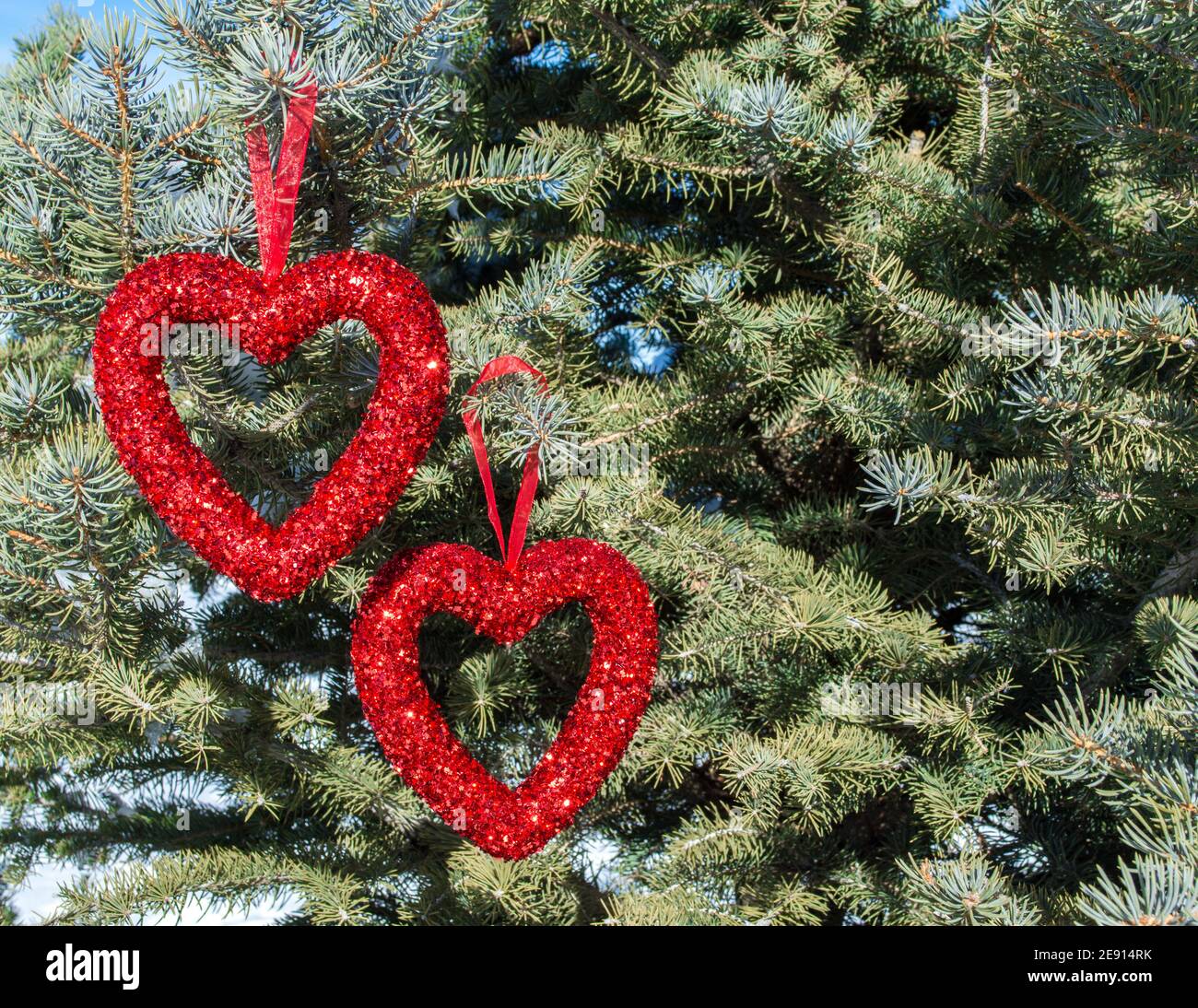 Sparkly tree hi-res stock photography and images - Alamy