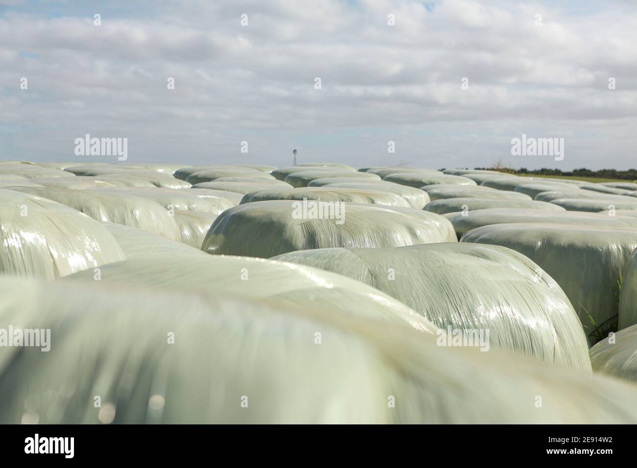 Wrapped silage hi-res stock photography and images - Alamy