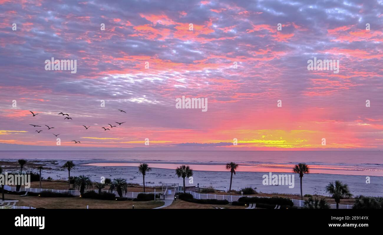 Pink and Yellow Sunrise at Beach Stock Photo - Alamy