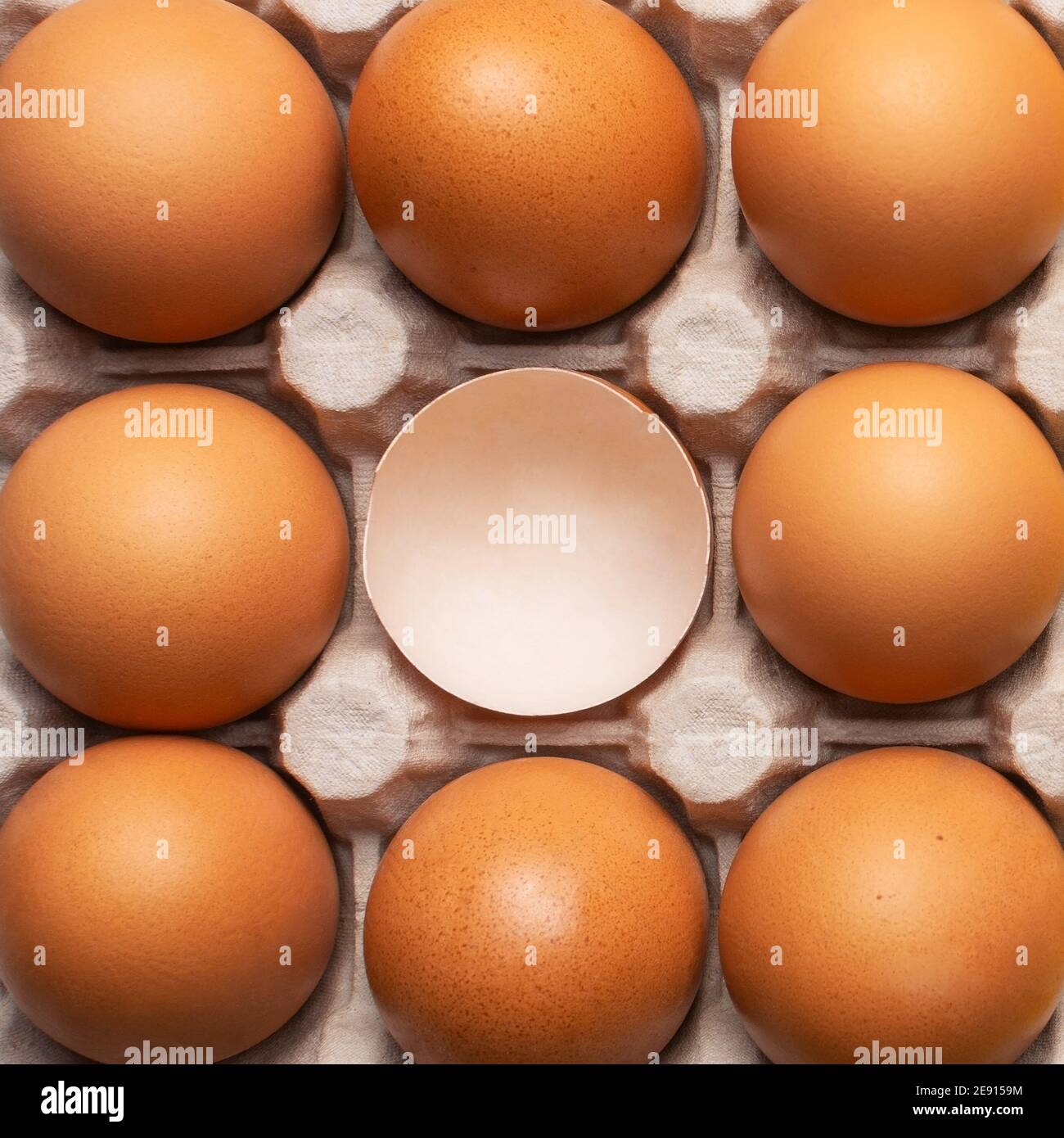 Real egg hi-res stock photography and images - Alamy