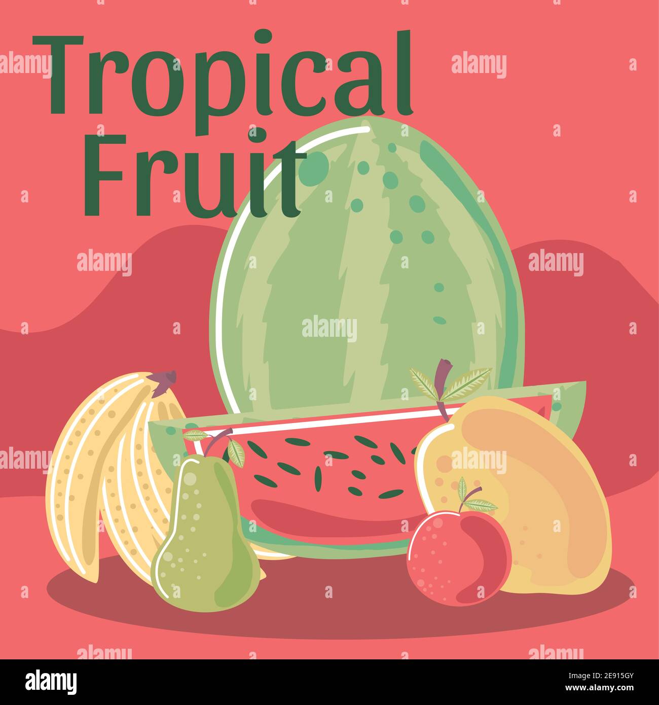 tropical fruit watermelon mango apple pear and banana vector ...