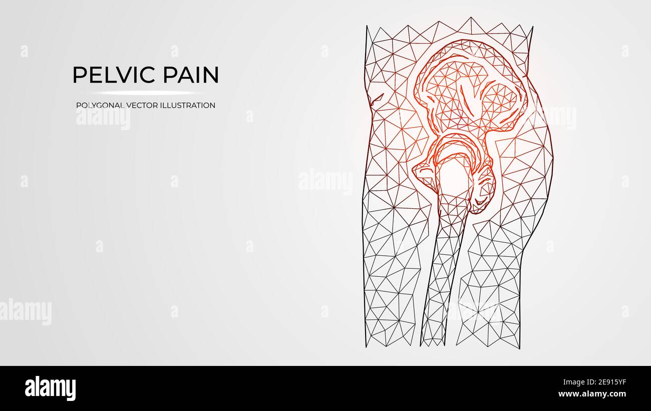 Side view of the male pelvis hi-res stock photography and images - Alamy