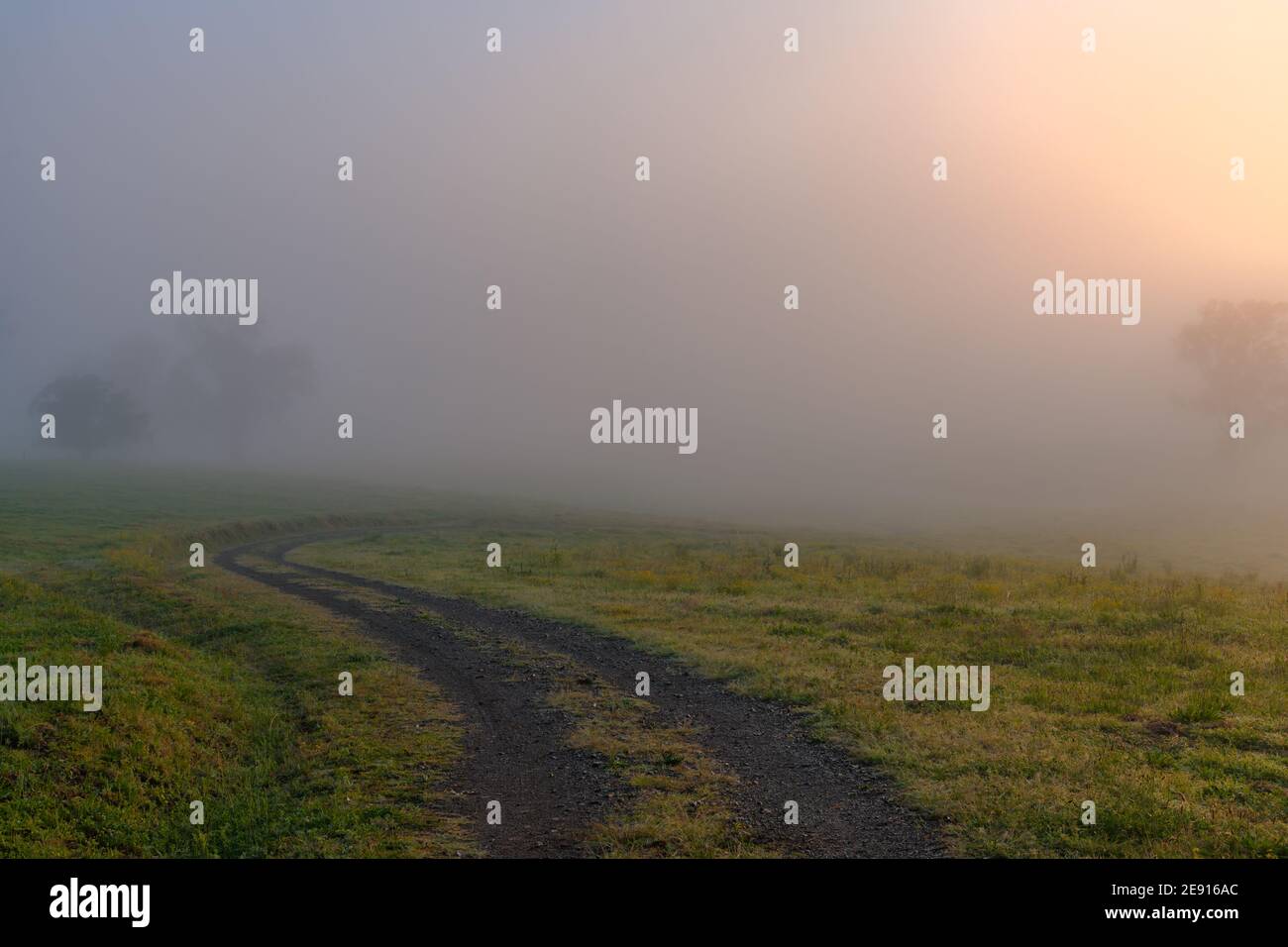 Early morning country landscape with heavy mist and trees at Gresford ...