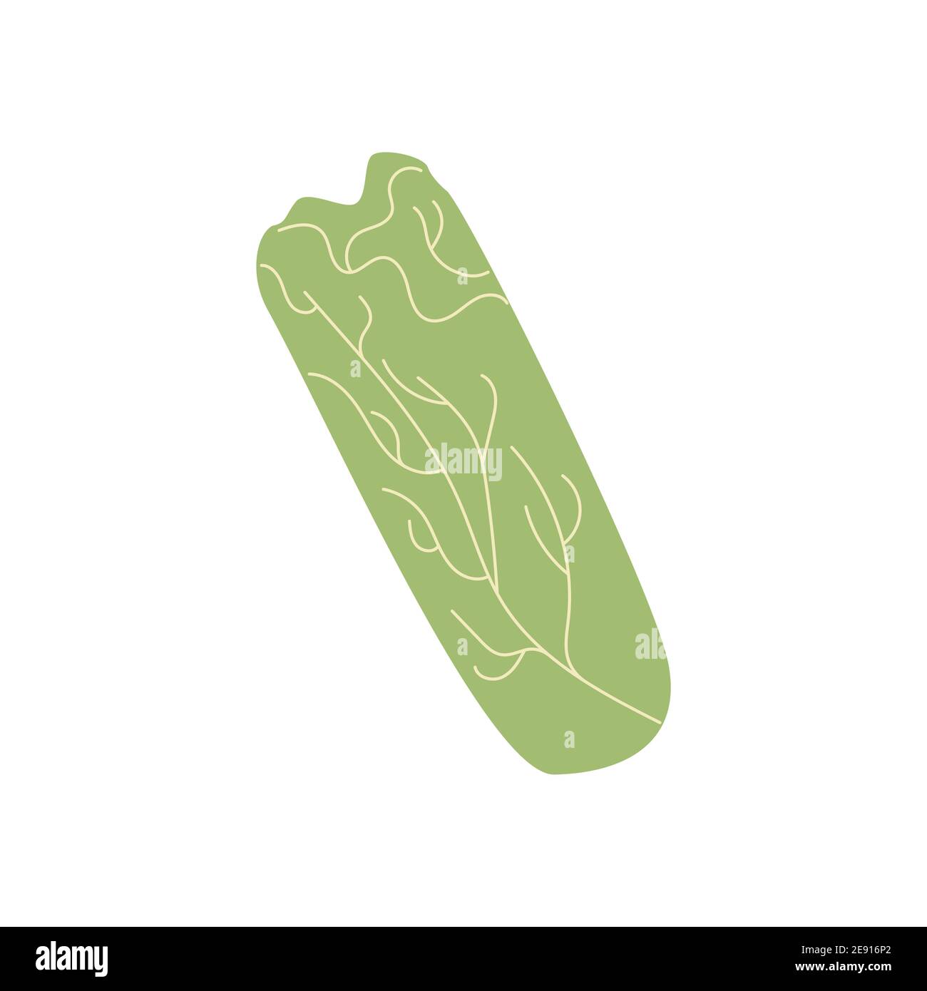 Chinese cabbage. Colorful vector illustration in cartoon style isolated ...