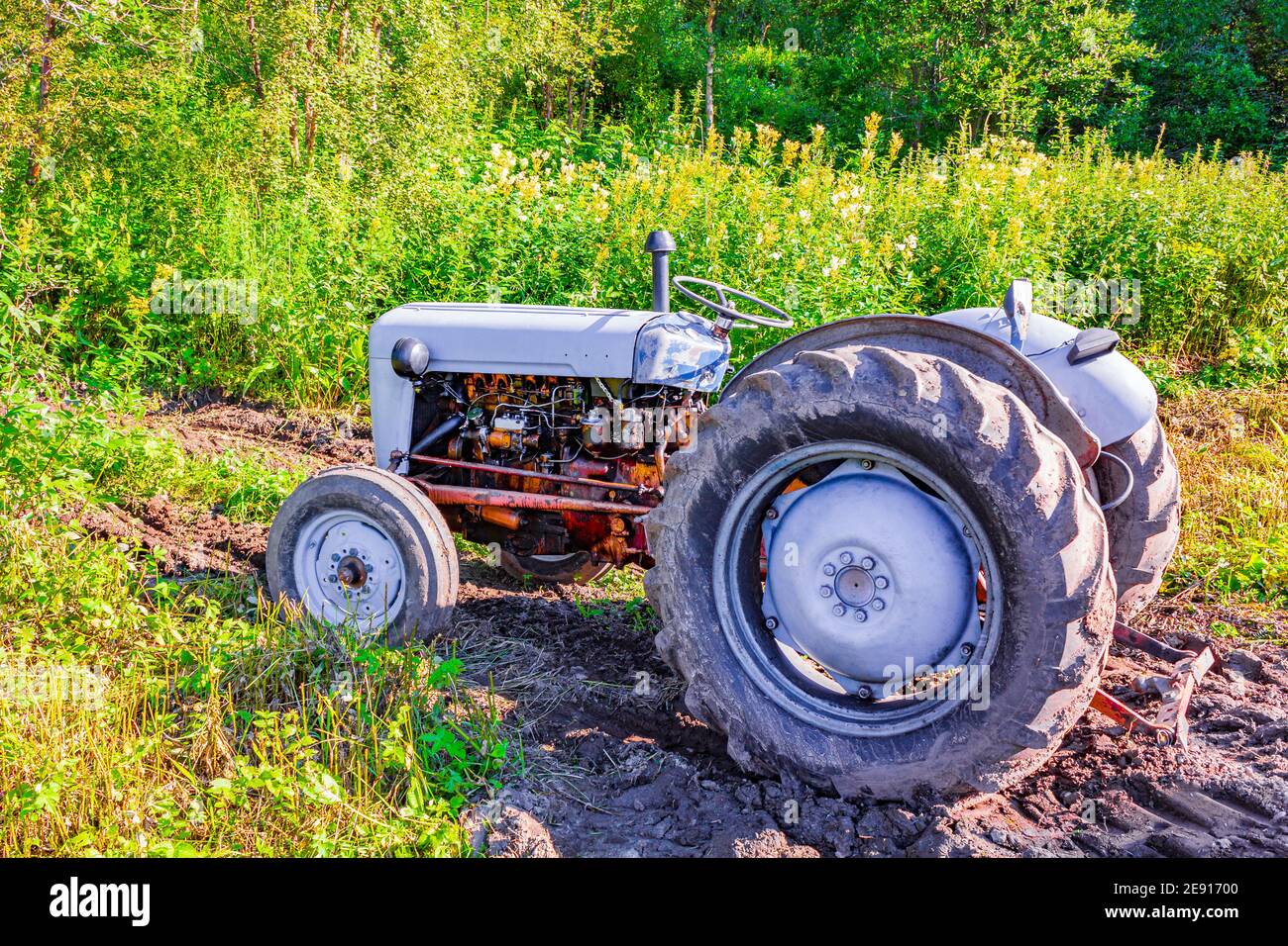Tractor is stuck in the mud dirt in Vang i Valdres Norway Stock Photo ...