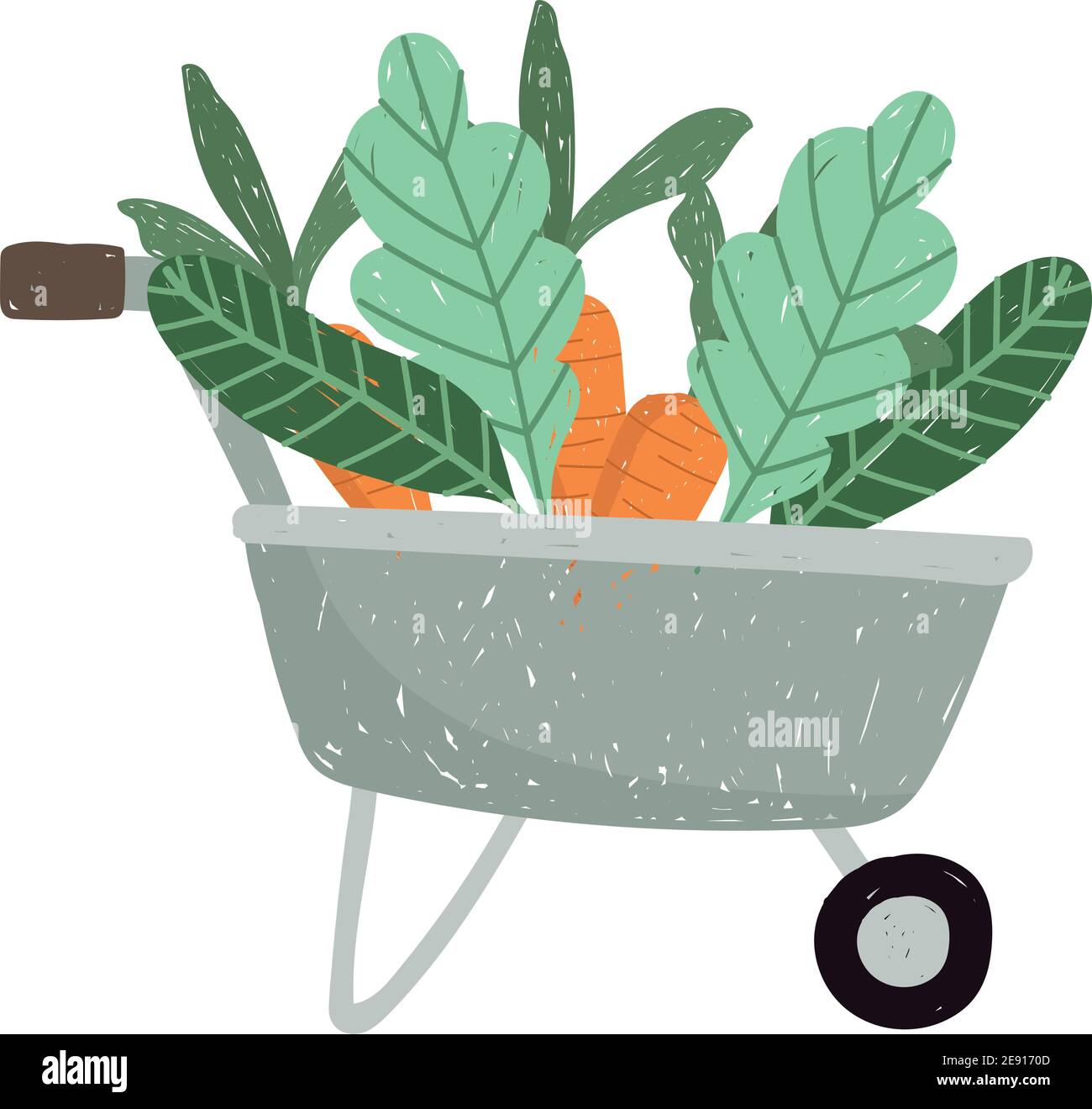 gardening wheelbarrow with carrots and lettuce leaves vector ...