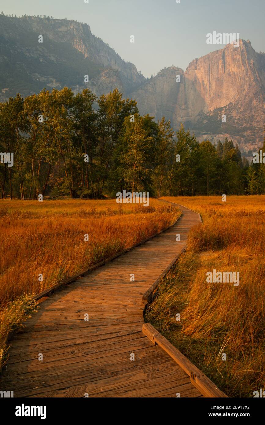 Meandering wooden pathway going through Yosemite Valley Stock Photo - Alamy