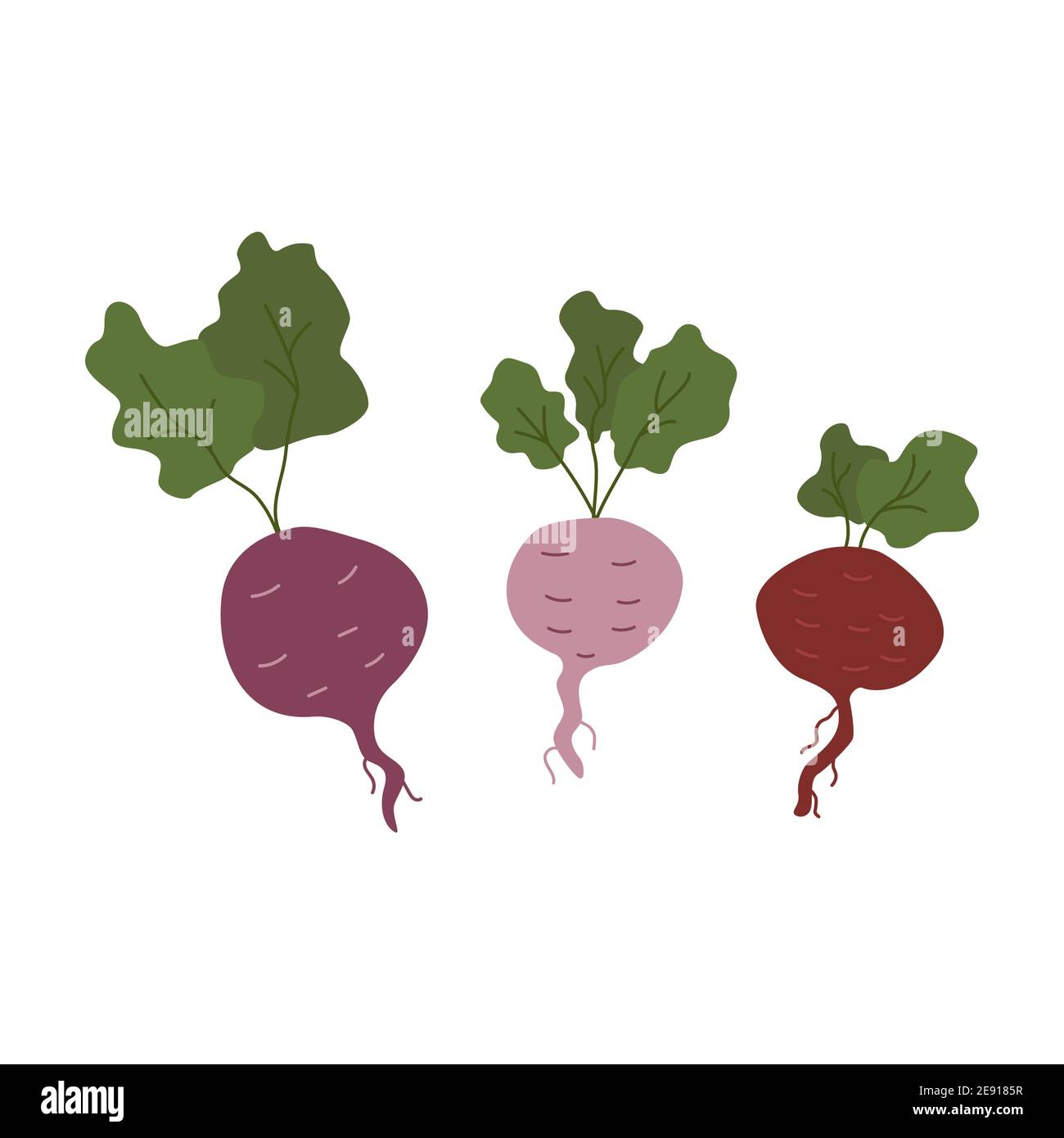 Three beets with green leaves isolated, organic healthy food, vegetable ...