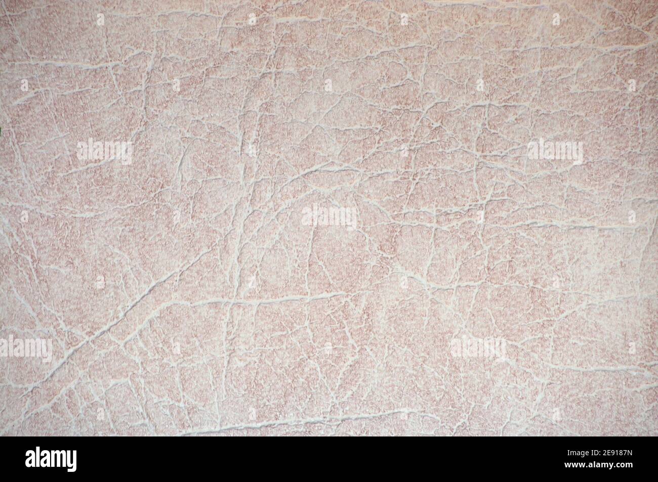 A fragment of old faded skin with wrinkles and folds. Background ...