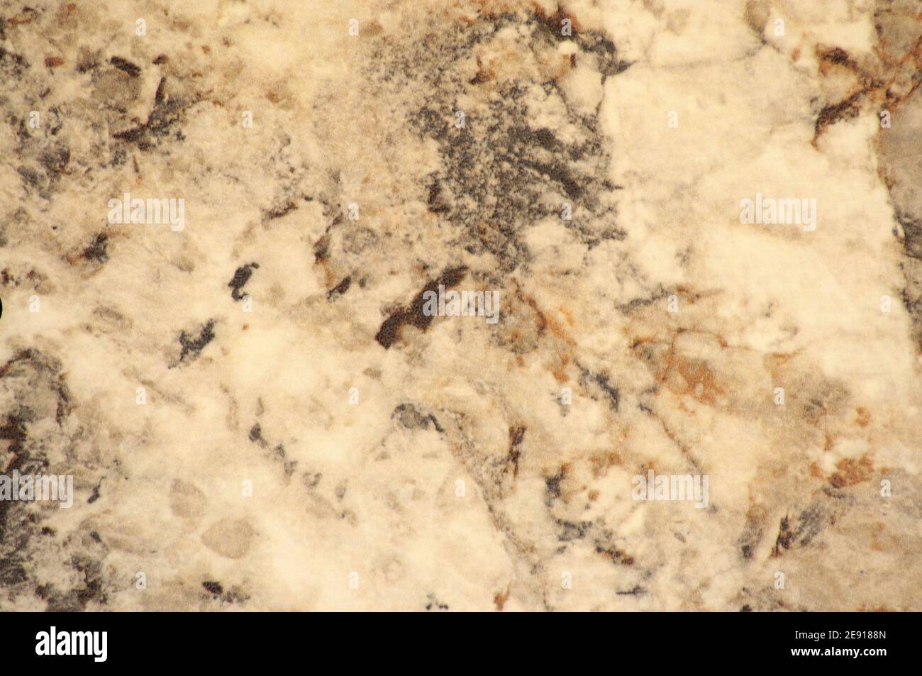 Pale beige agate with black veins, close-up of natural stone texture ...