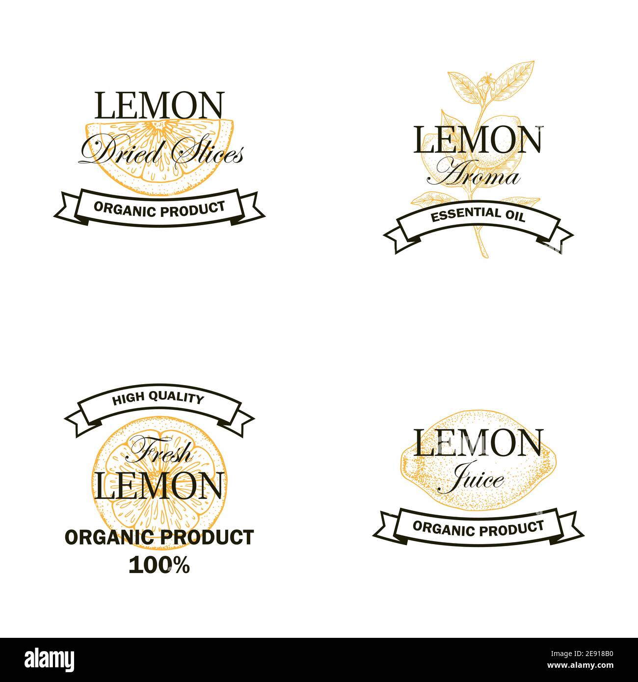 Set of Lemon fruit logo with hand drawn elements isolated on white ...