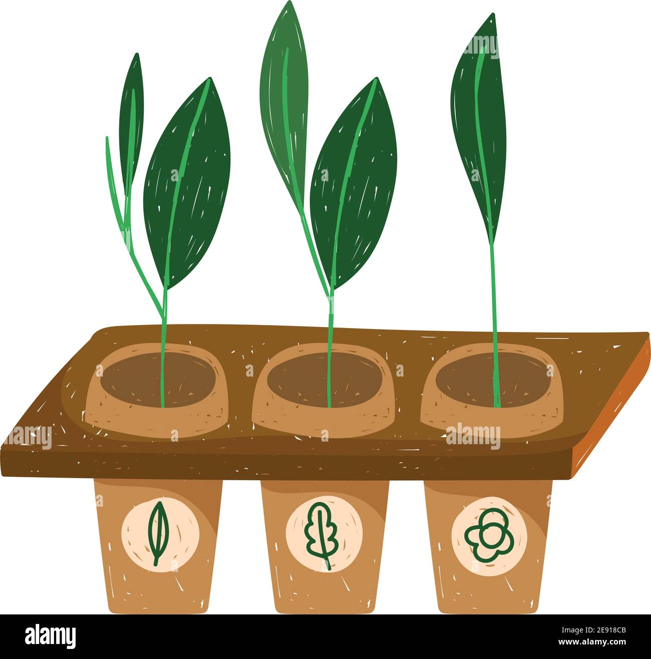 gardening plants growing in pots hand drawn color vector illustration ...