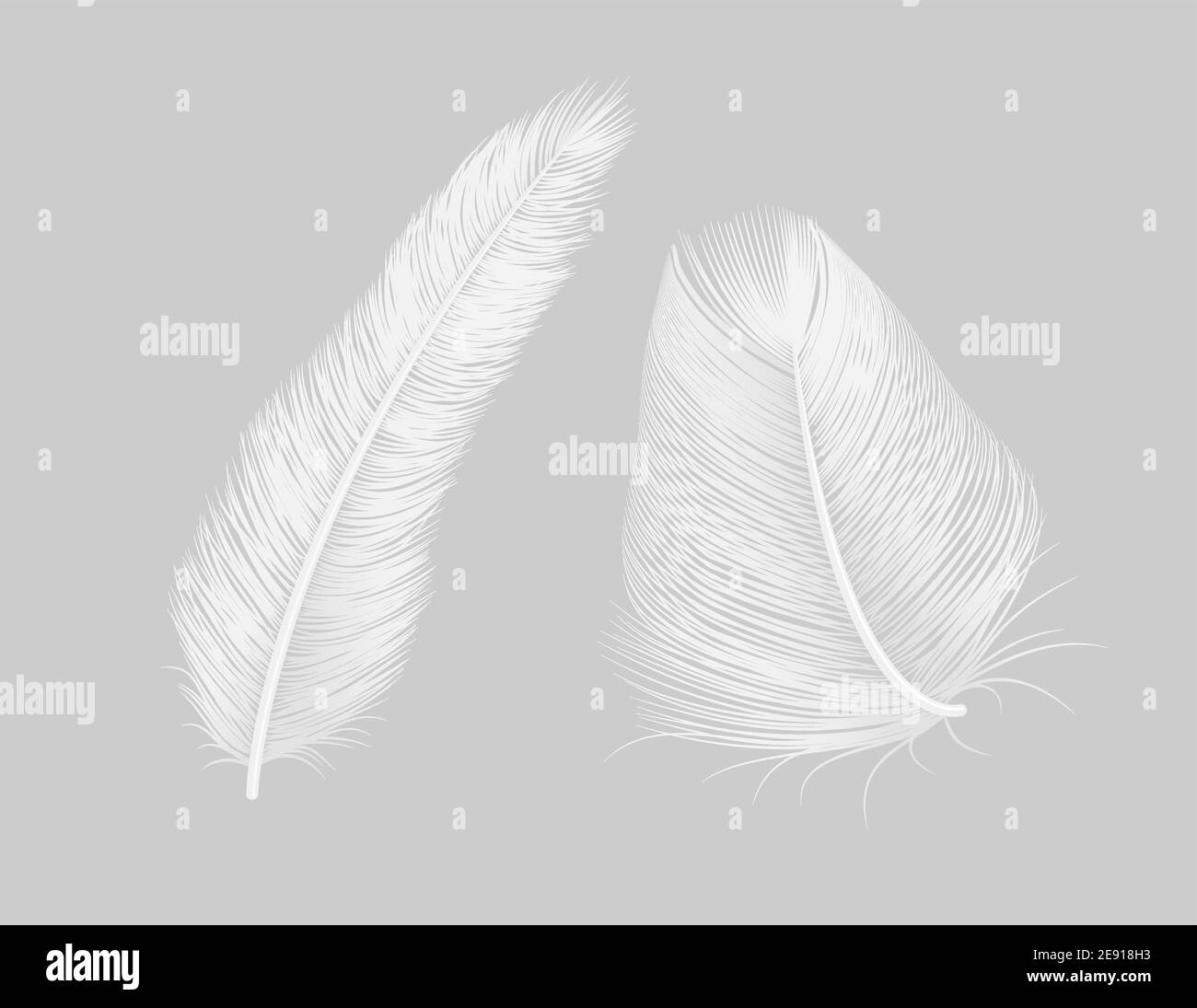 Vector feather quill icon background. Bird isolated feather Stock ...