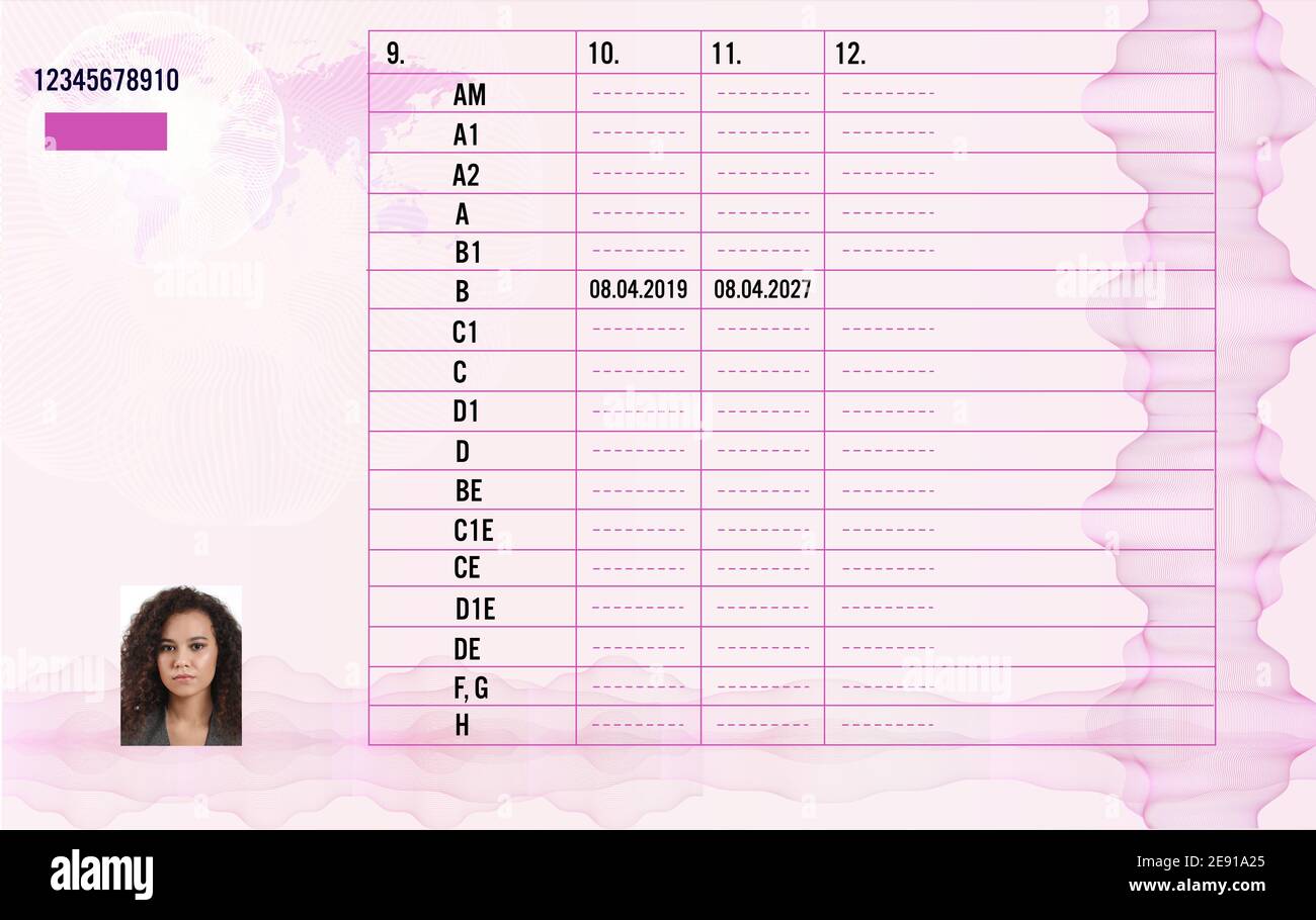 Sample of modern driver's license, back view Stock Photo - Alamy