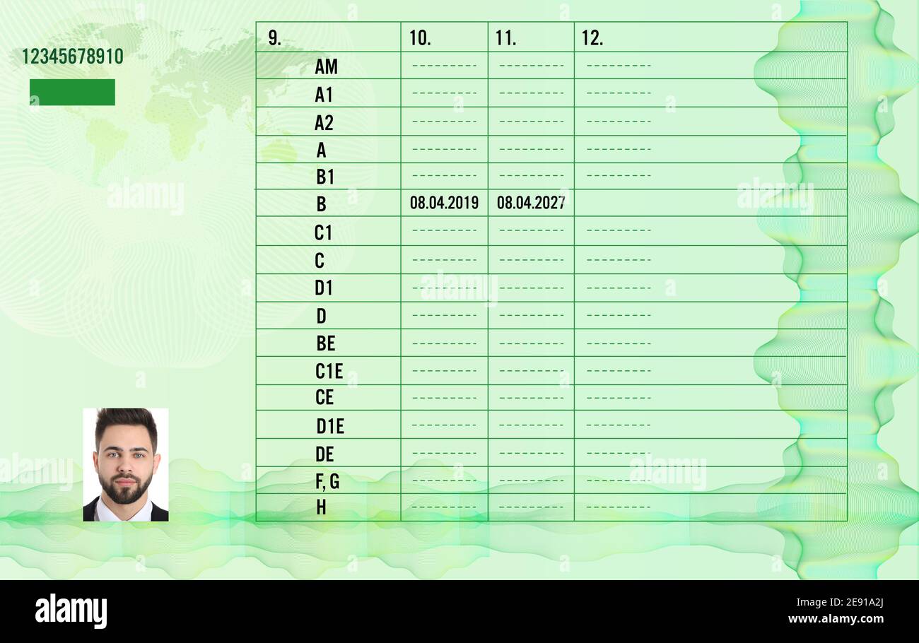 Sample of modern driver's license, back view Stock Photo - Alamy
