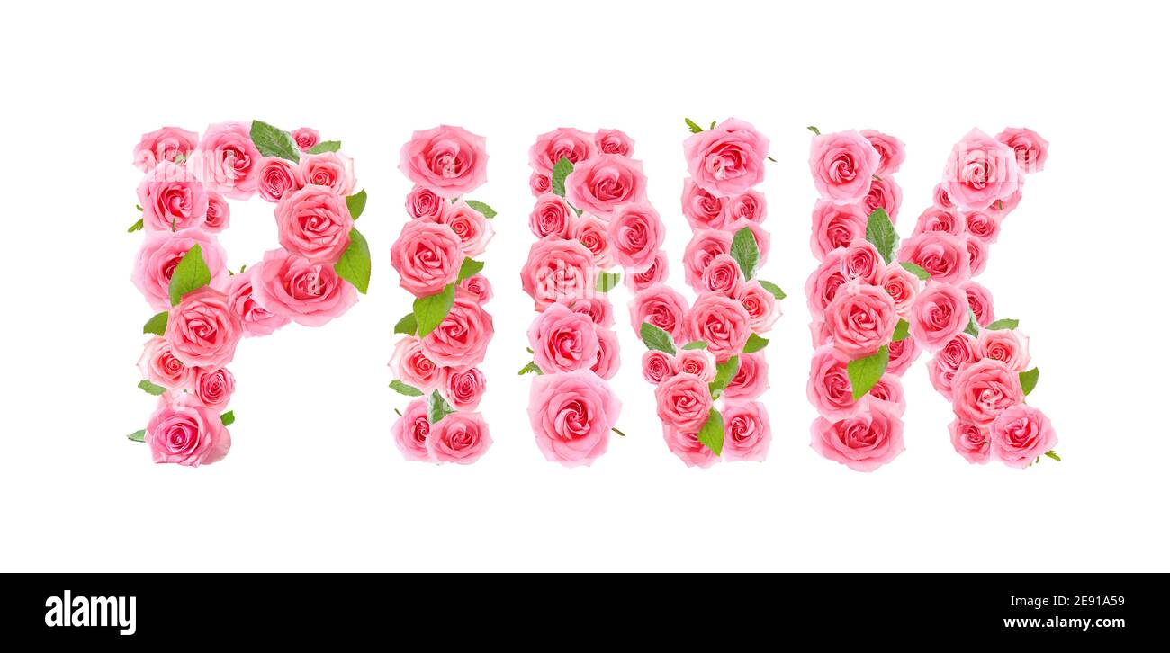 Word PINK made of beautiful roses on white background Stock Photo - Alamy