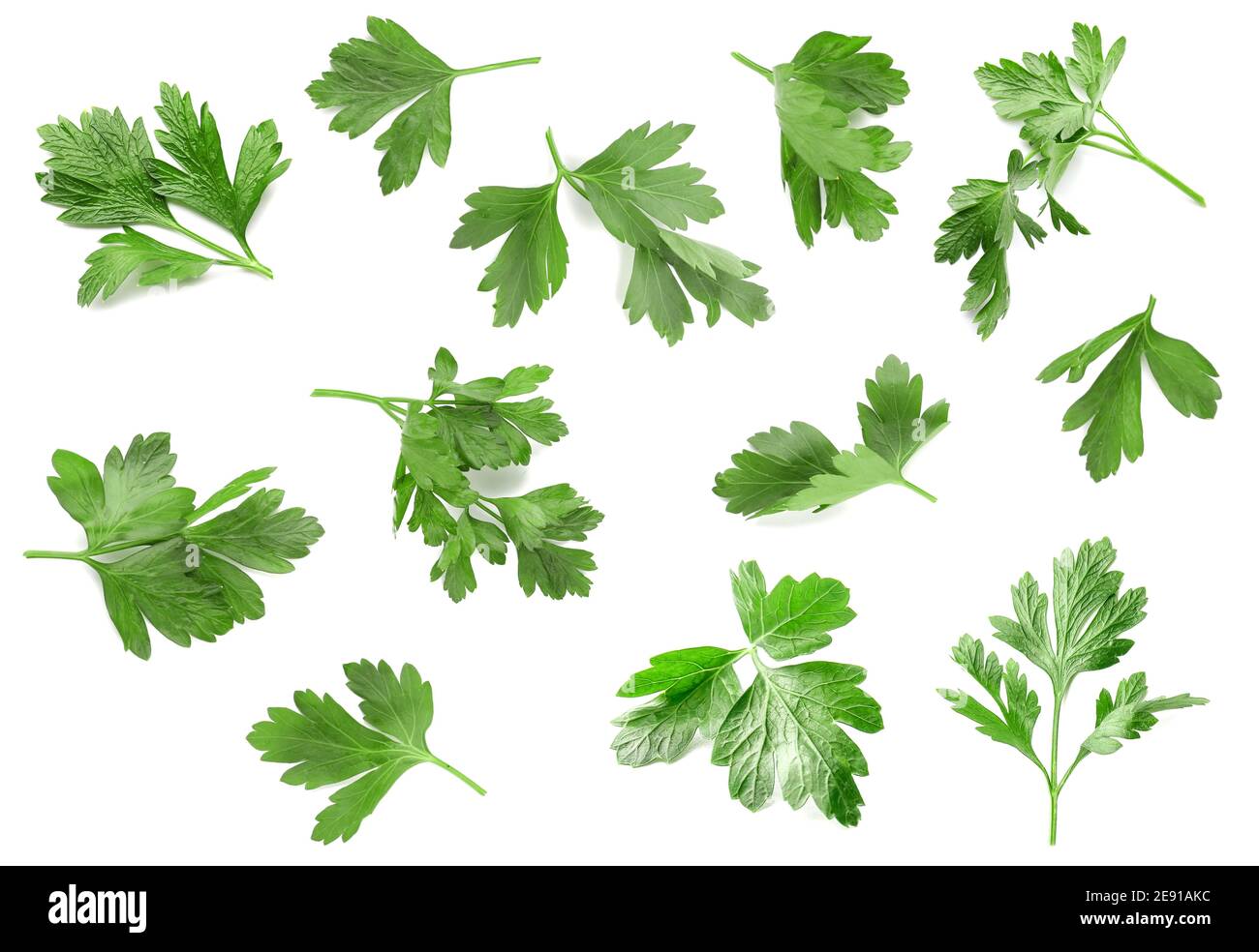 Fresh parsley on white background Stock Photo - Alamy