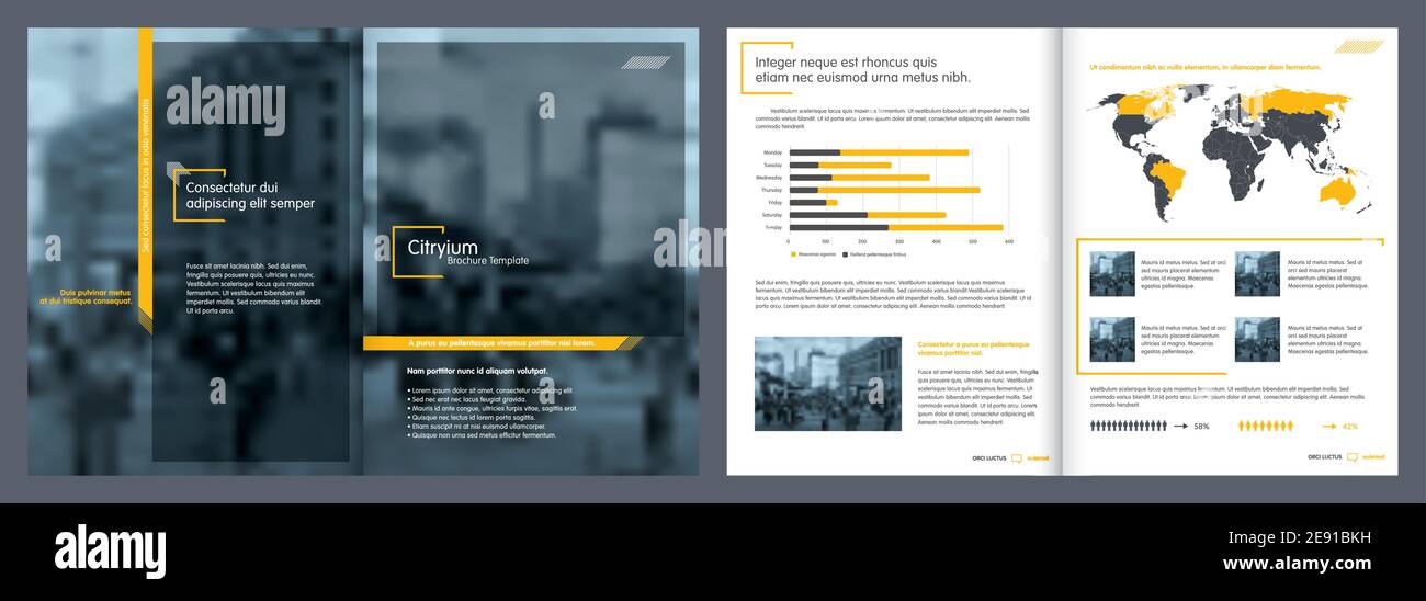 Brochure creative design. Multipurpose template with cover, back and ...