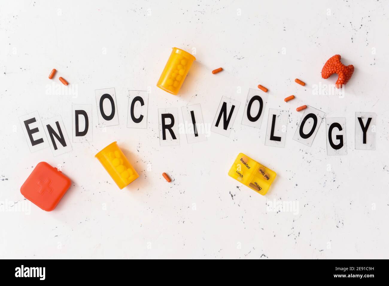 Word ENDOCRINOLOGY, thyroid gland and pills on white background Stock ...