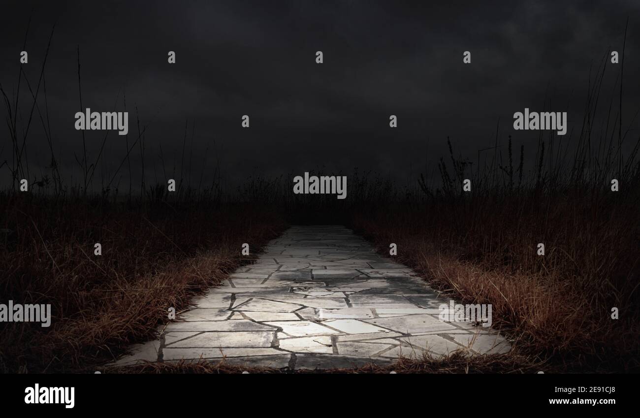 Dark Moody Stone Path with Tallgrass and Space for Copy and Product ...
