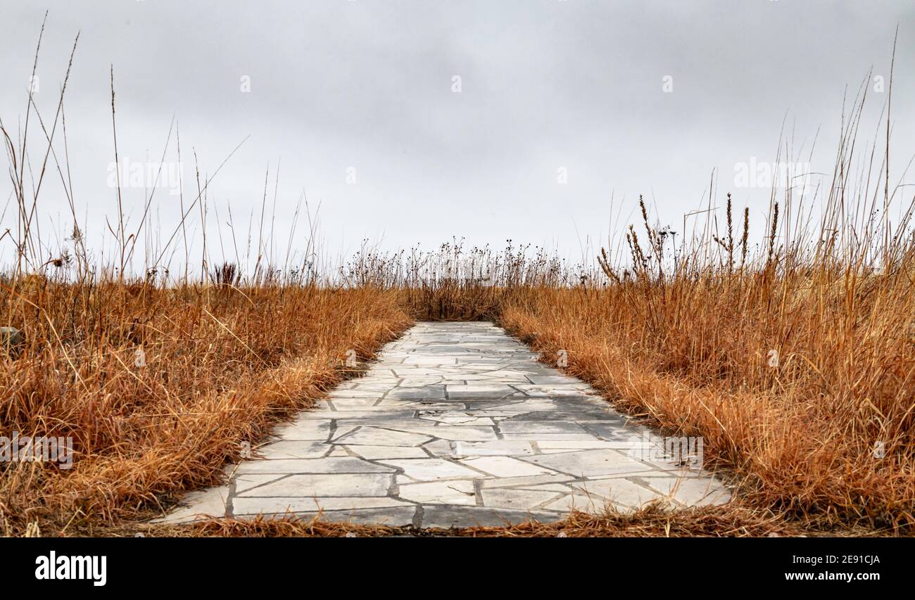 Tallgrass hi-res stock photography and images - Alamy