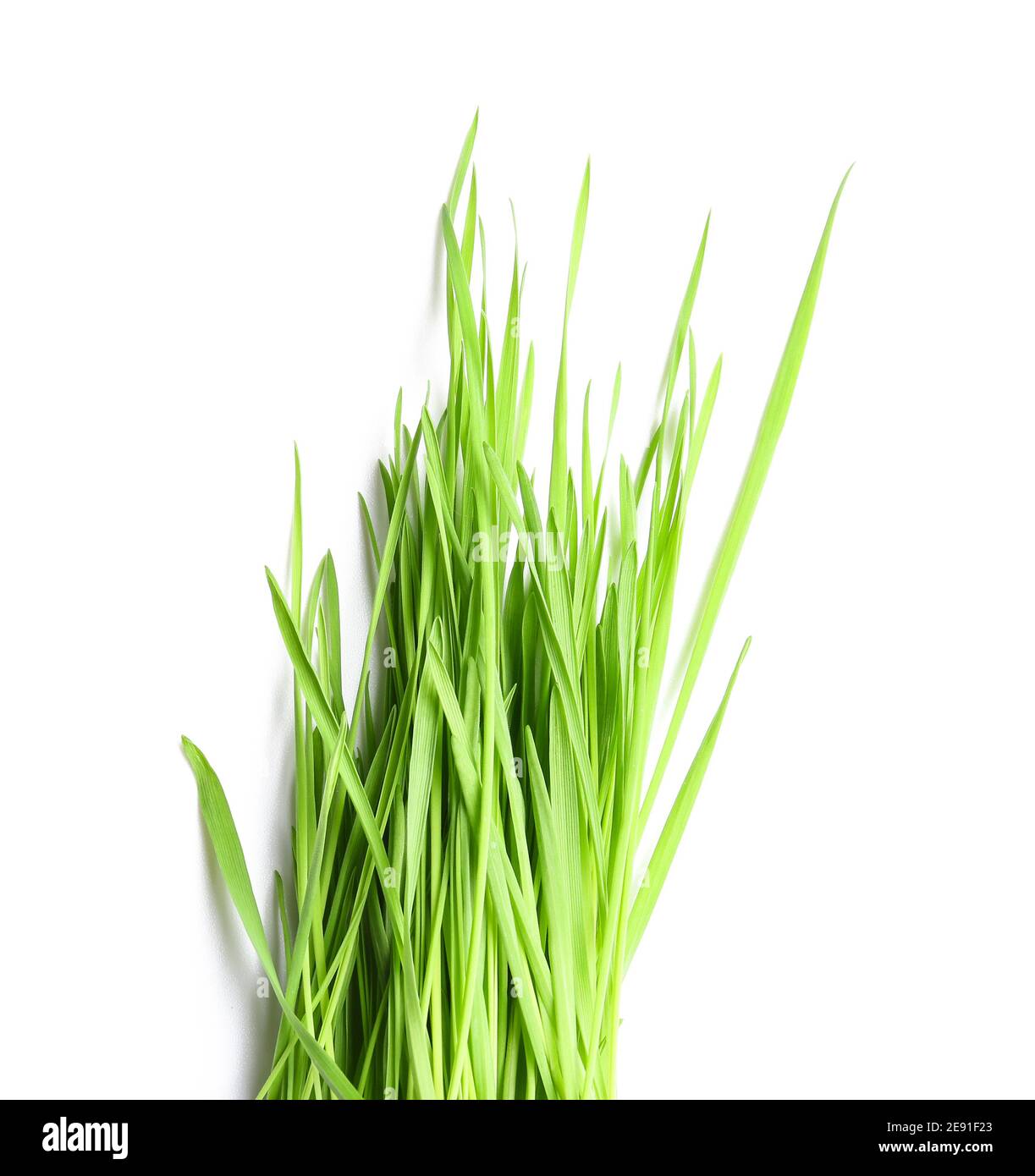 Fresh green wheatgrass on white background Stock Photo - Alamy