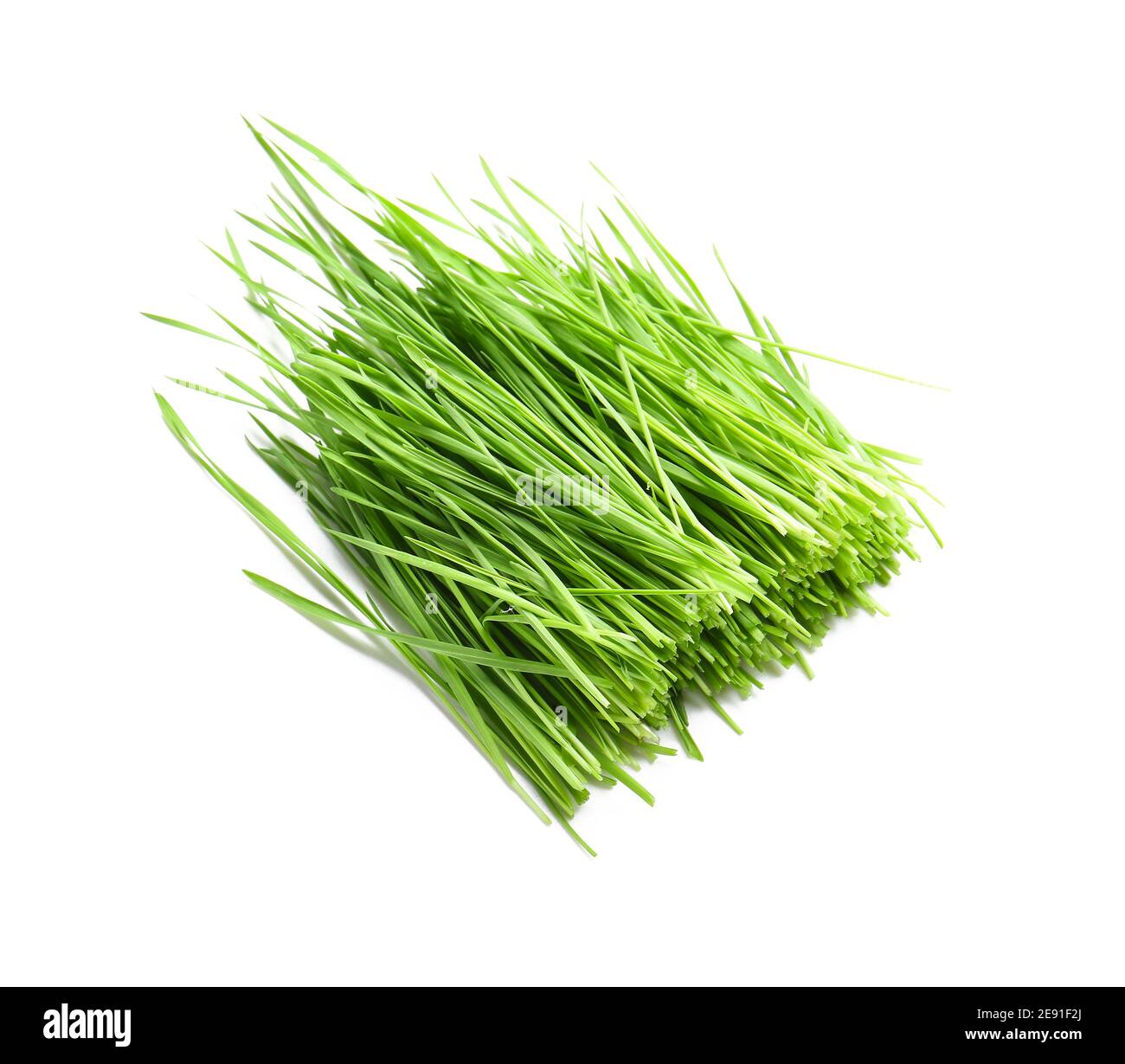 Fresh green wheatgrass on white background Stock Photo - Alamy