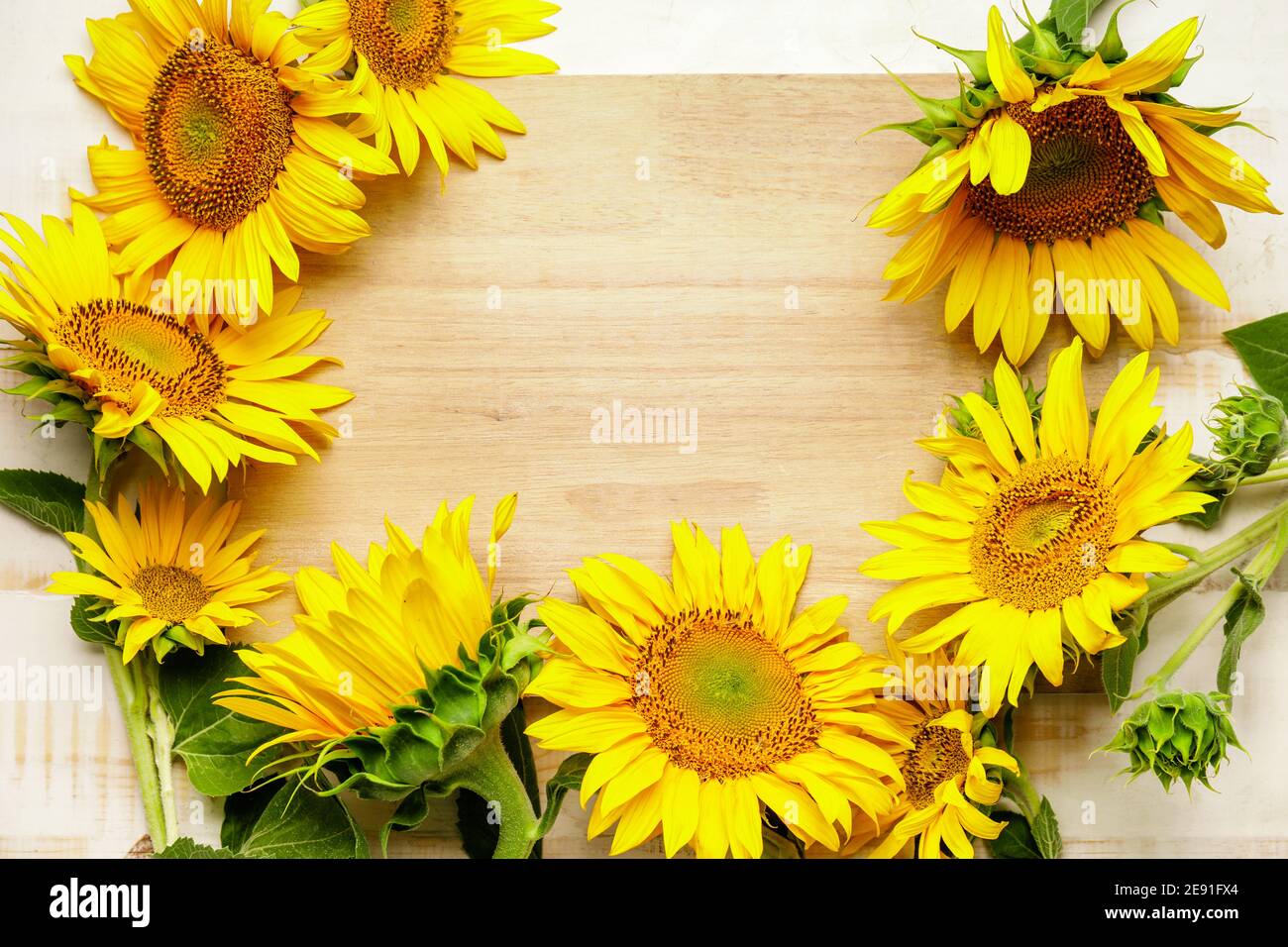 Sunflowers frame text flower hi-res stock photography and images - Alamy