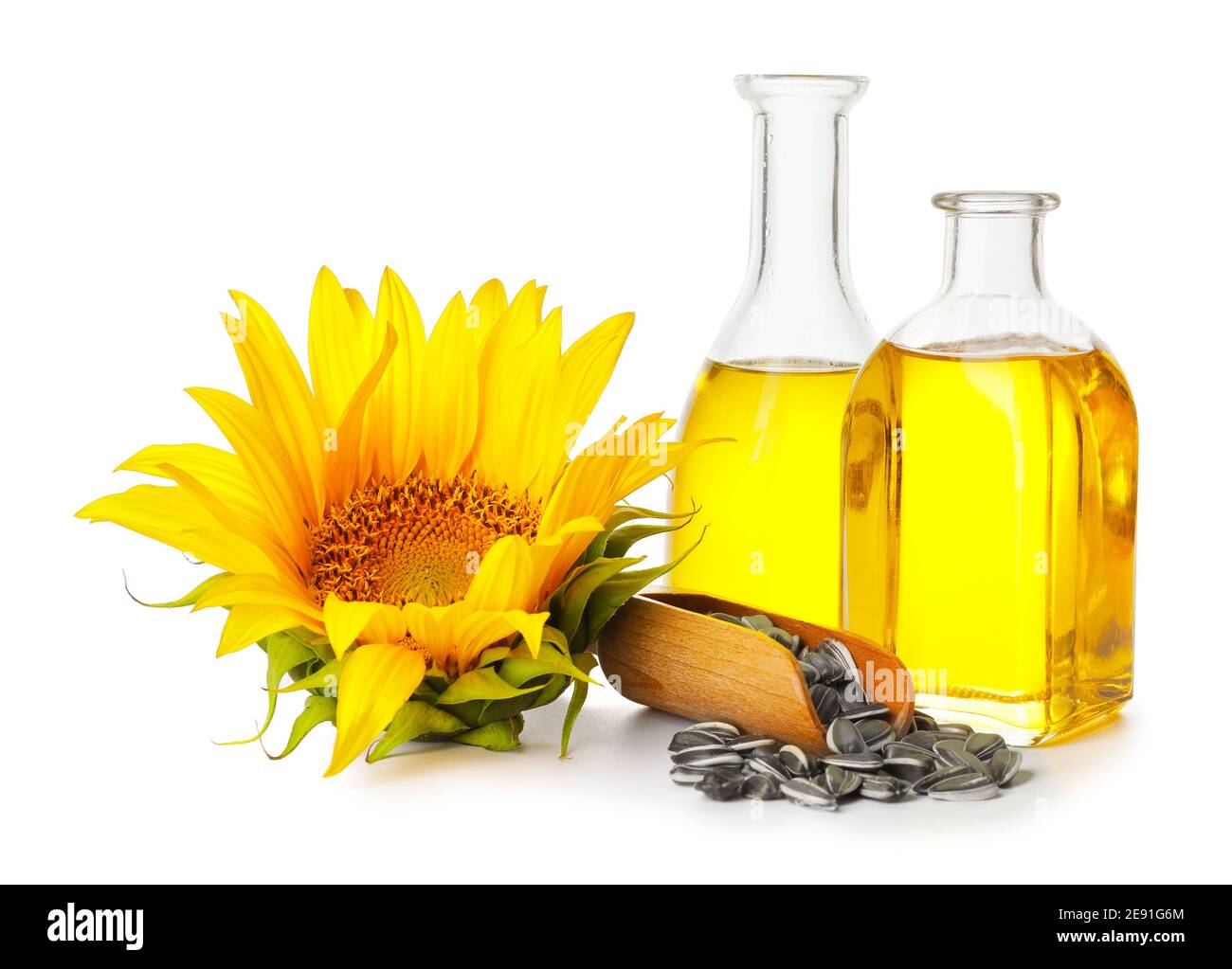 Bottles of oil, scoop with seeds and sunflower on white background ...