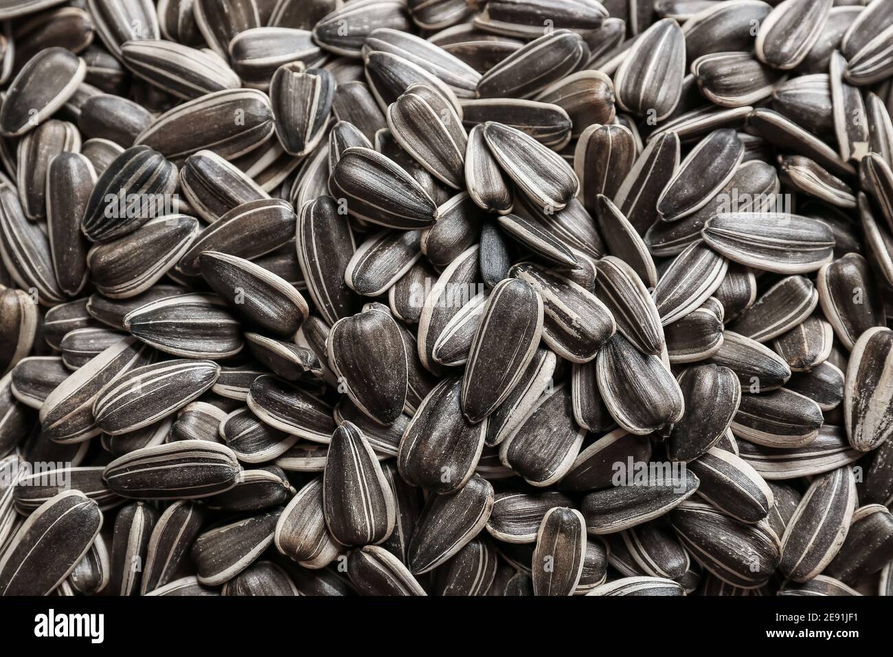 Texture of sunflower seeds as background Stock Photo - Alamy