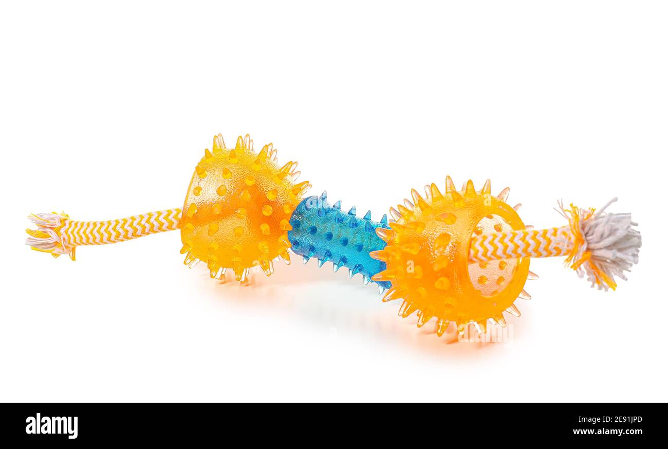 Toy for dog on white background Stock Photo - Alamy
