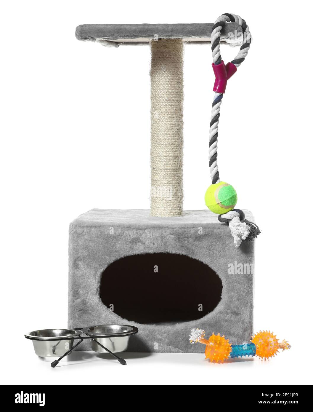 Pet care accessories on white background Stock Photo - Alamy