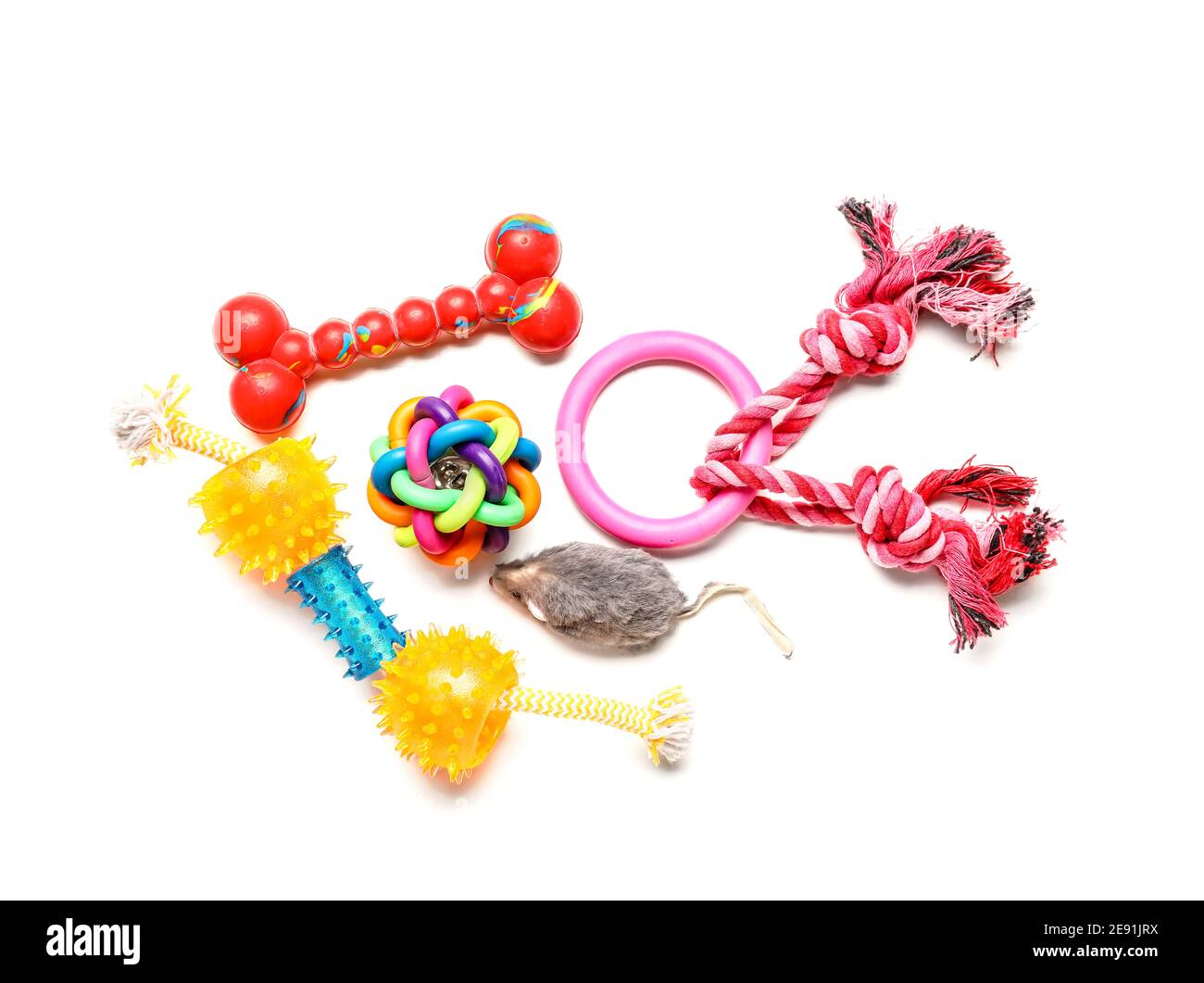Different toys for pet on white background Stock Photo - Alamy