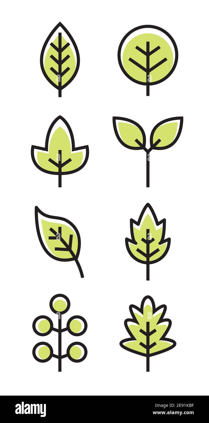 Leaf vector design line icon. Green line leaf plant outline symbol ...