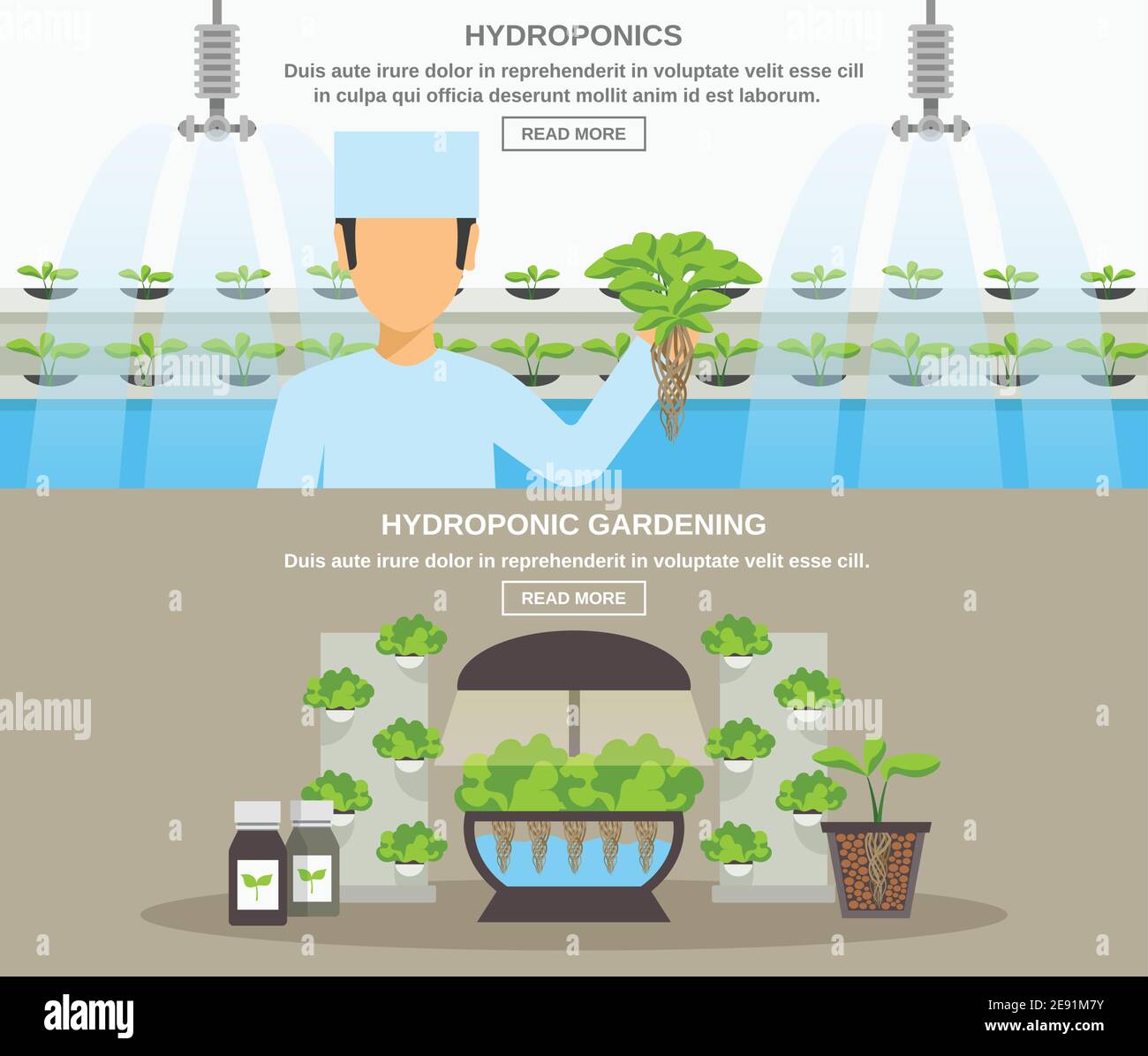 Color flat horizontal banner depicting hydroponic system gardening ...